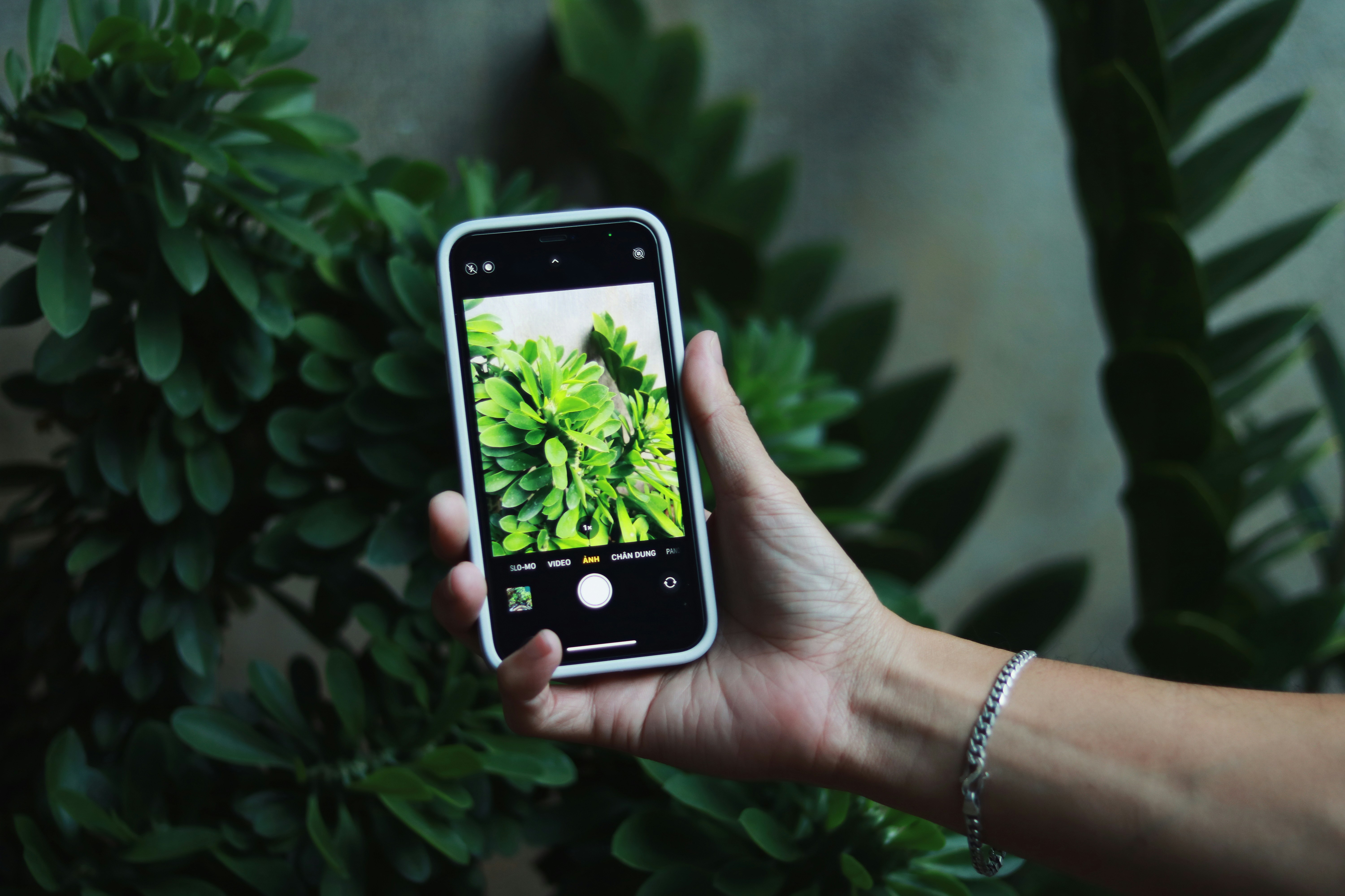 a person holding a cell phone in their hand