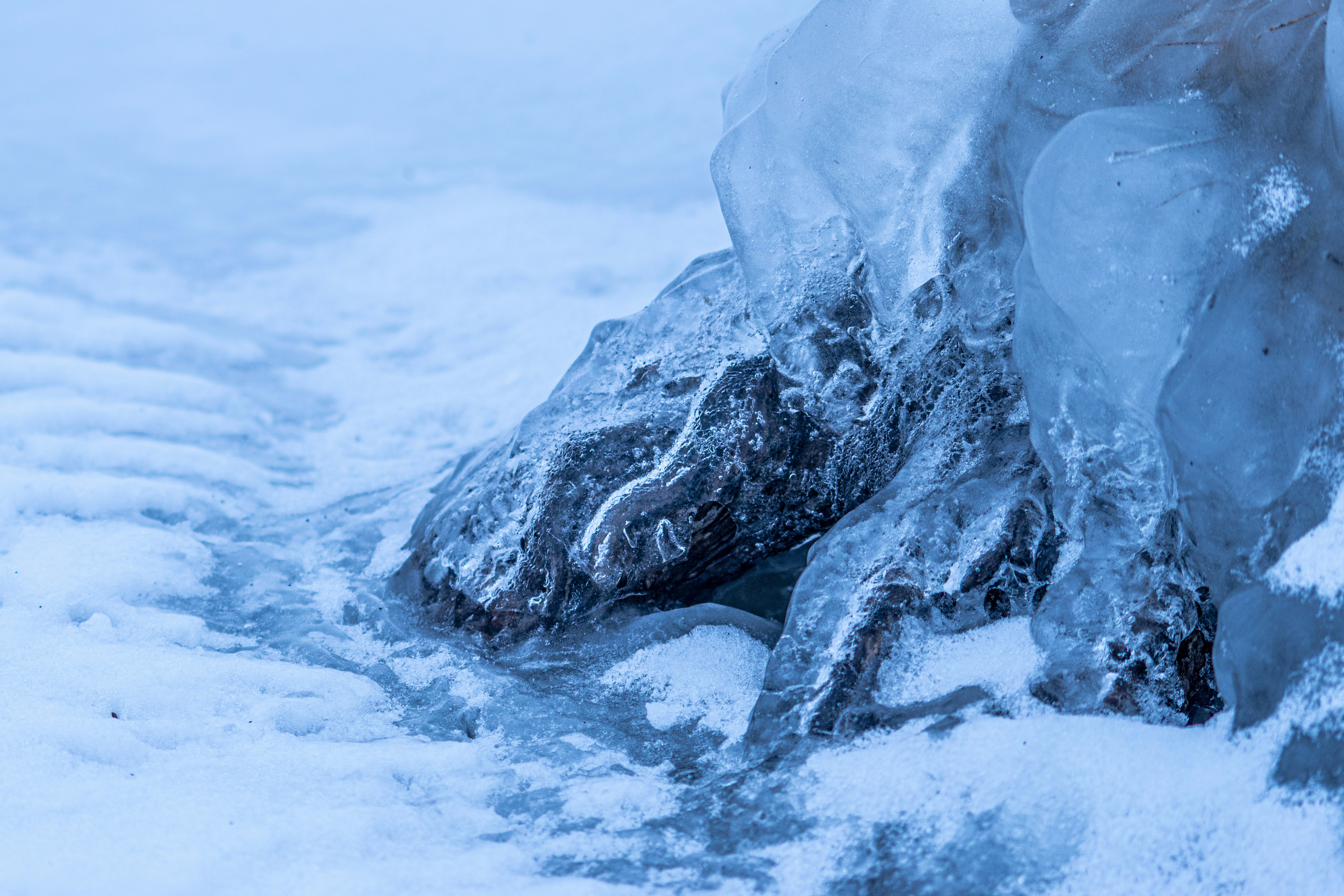 Intricate patterns of ice enveloping a submerged branch, showcasing the delicate interplay between water and frost.