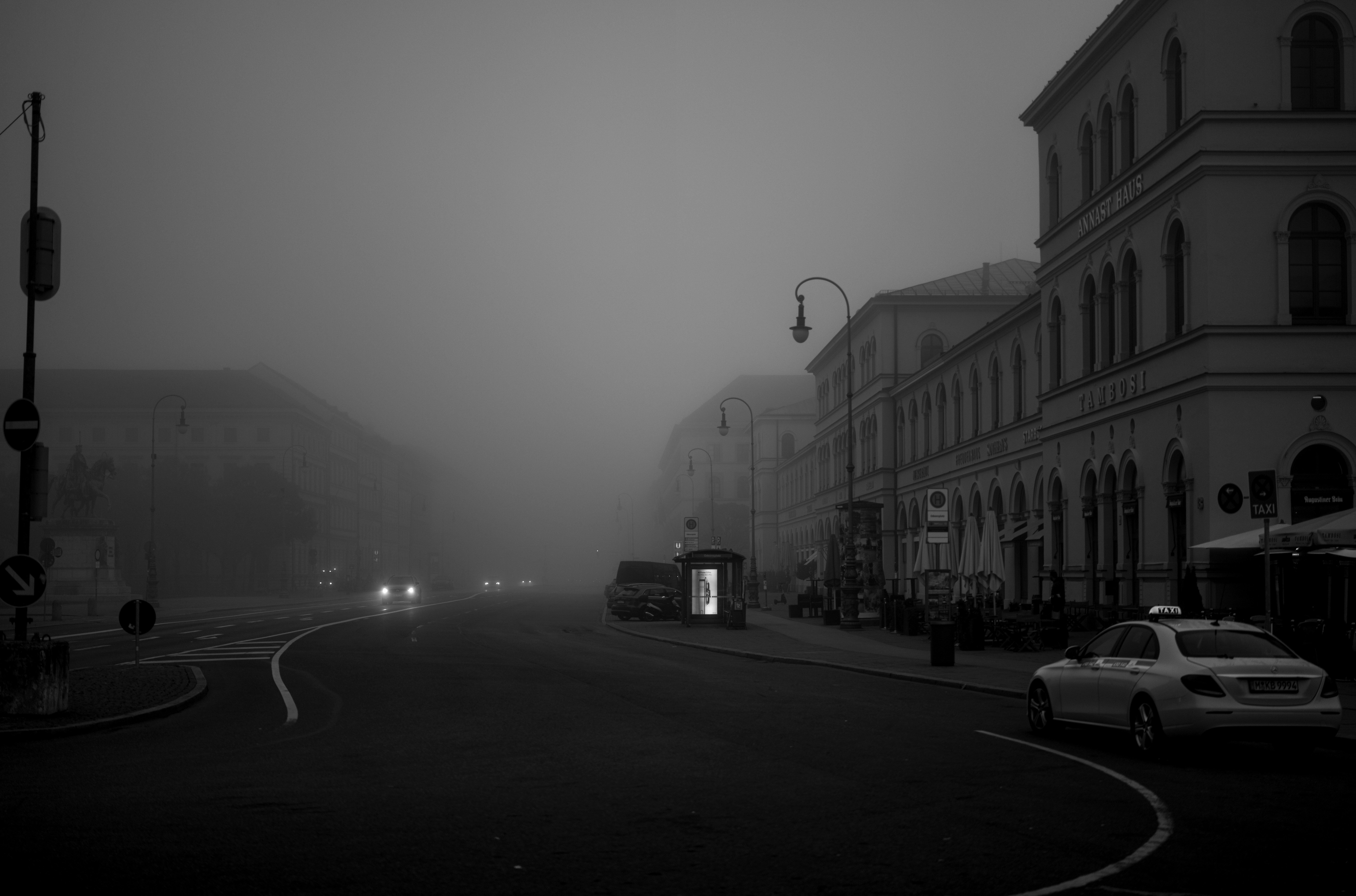 Fogbound Avenue: A Lone Bus Stop Shimmering in Monochrome