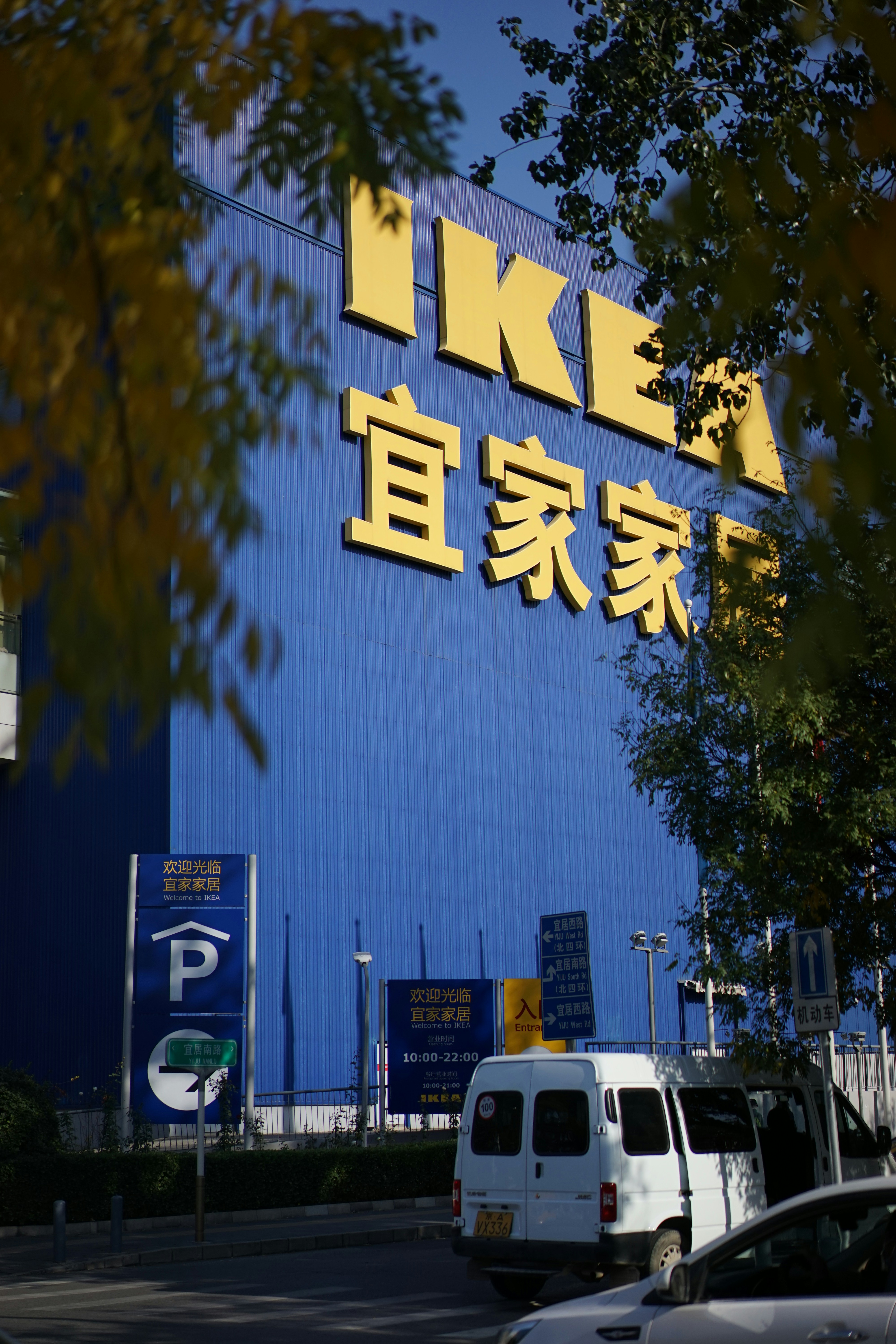 IKEA on Blue: Bold Yellow Letters Framed by Autumn Foliage in an Urban Lot