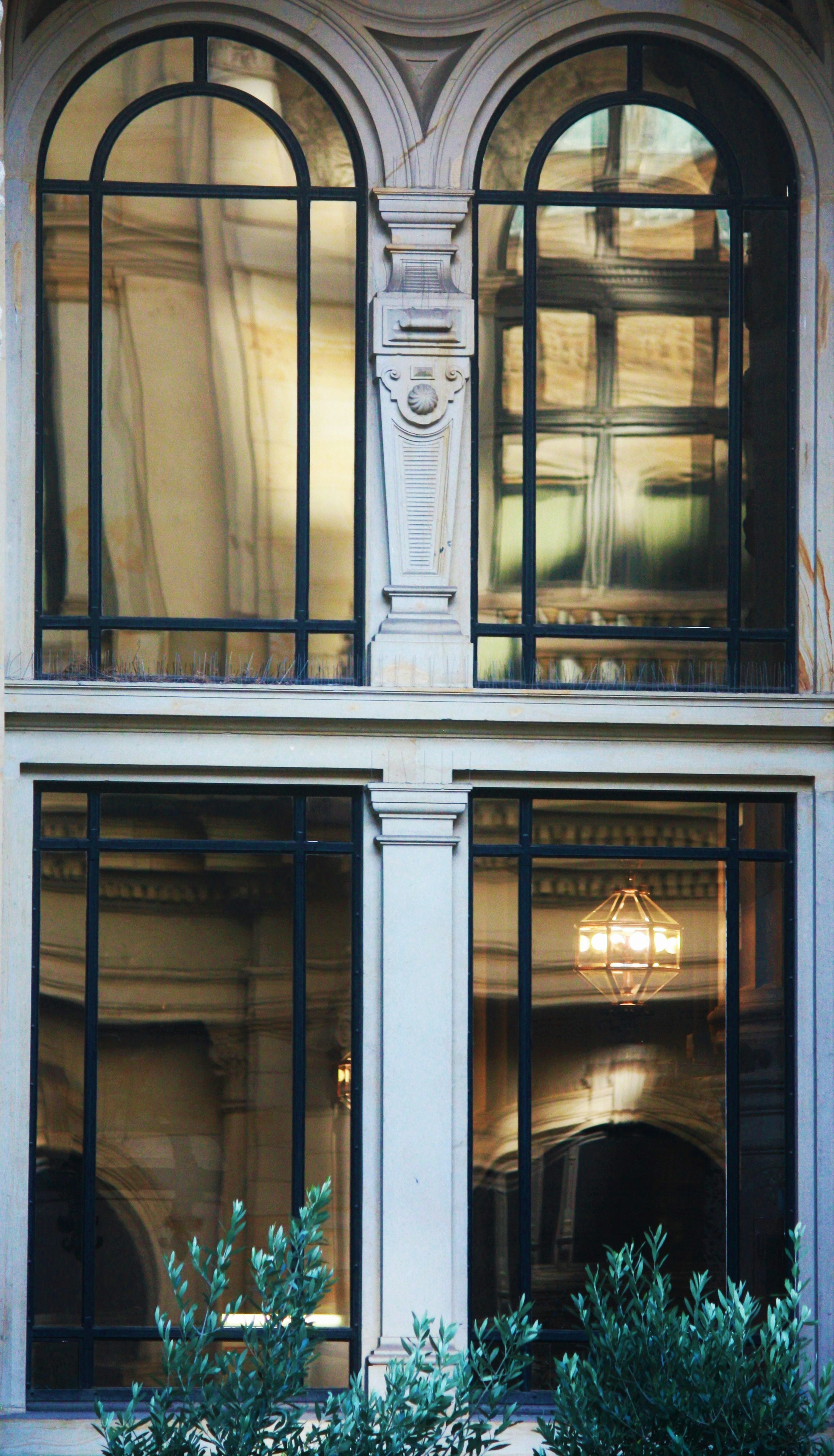 Architectural windows reflecting intricate details of the interior, framed by lush greenery below.