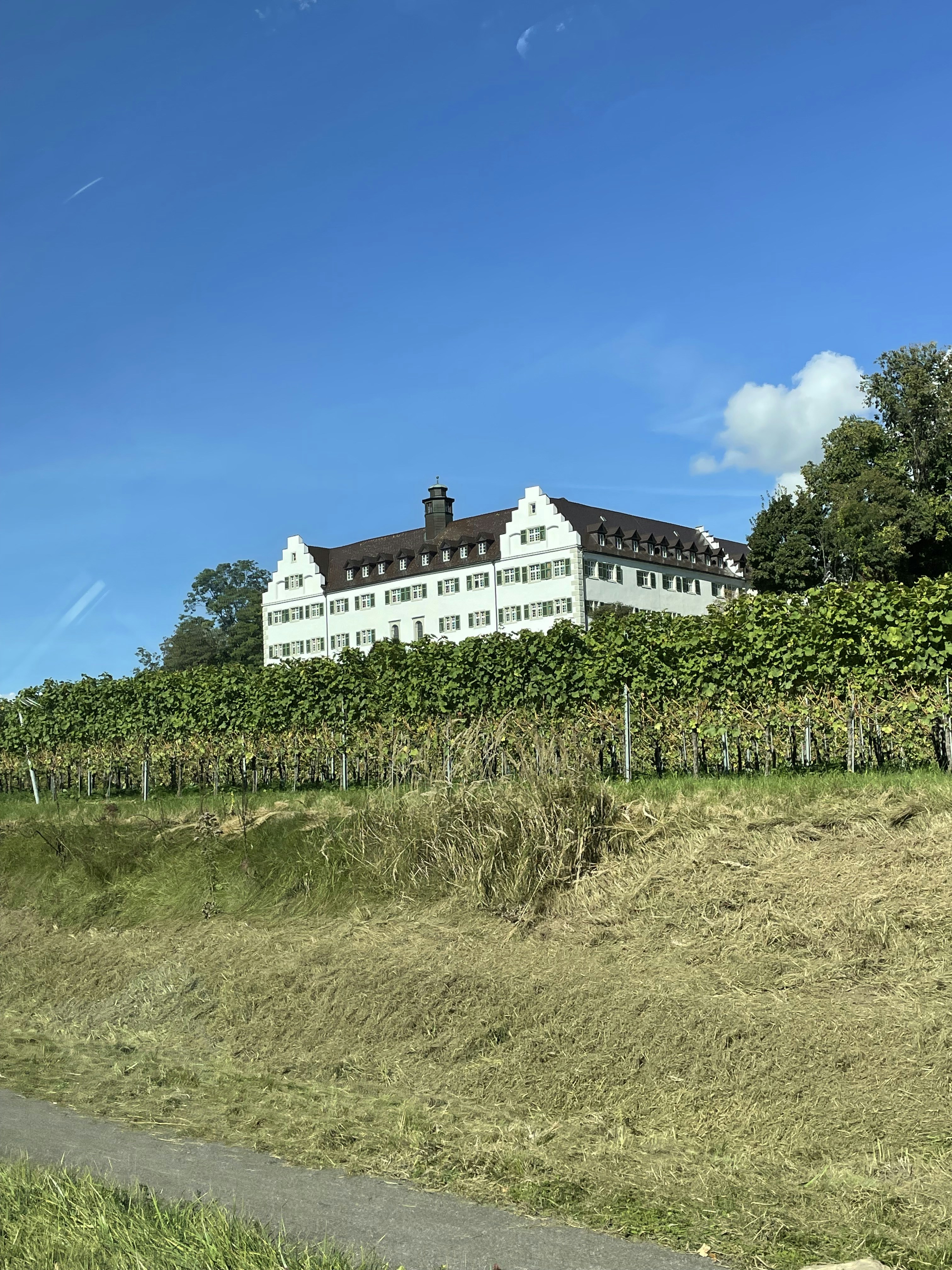 Old building set in a vineyard