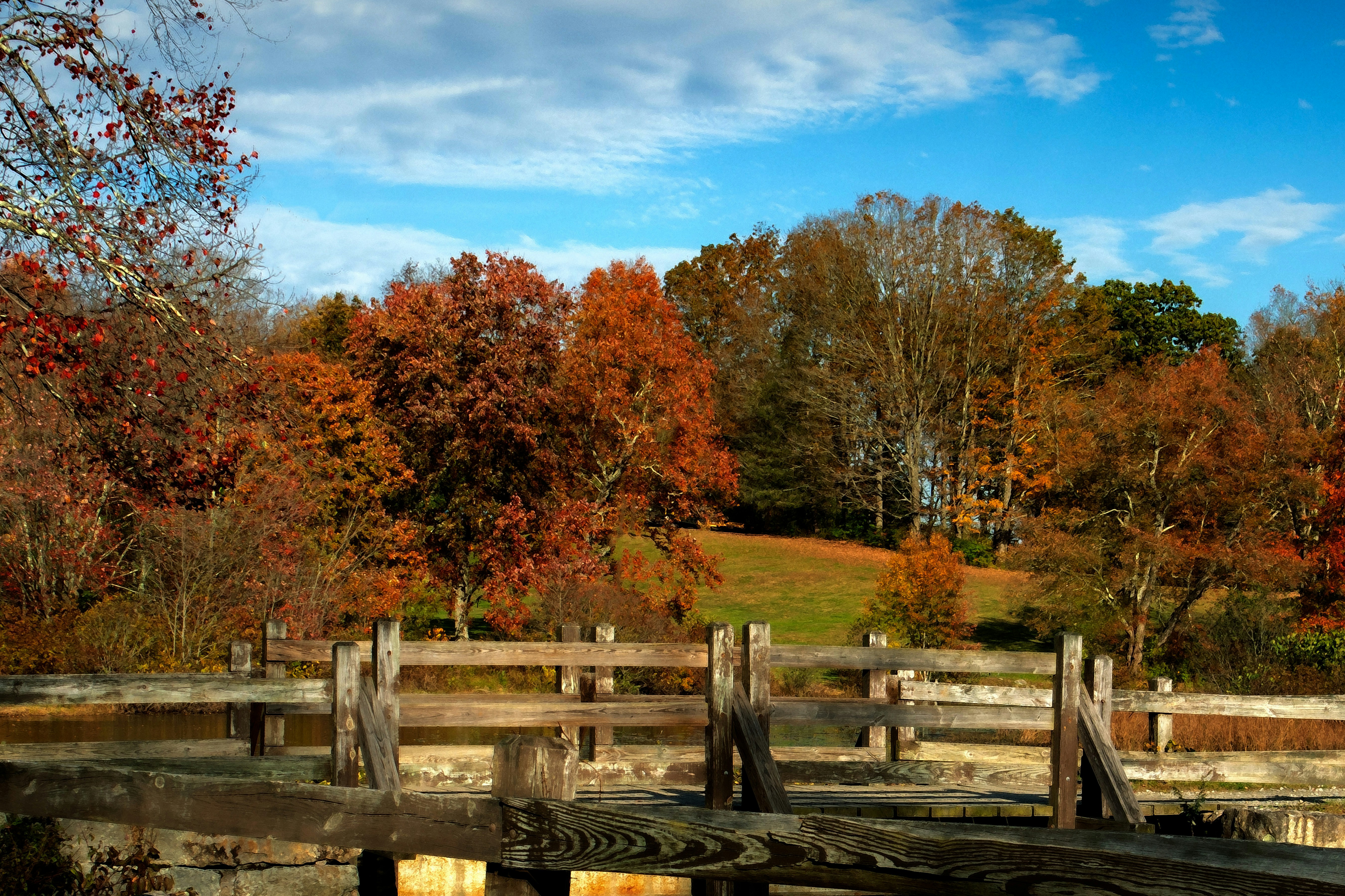 Wooden bridge framed by vibrant autumn foliage under a bright blue sky.