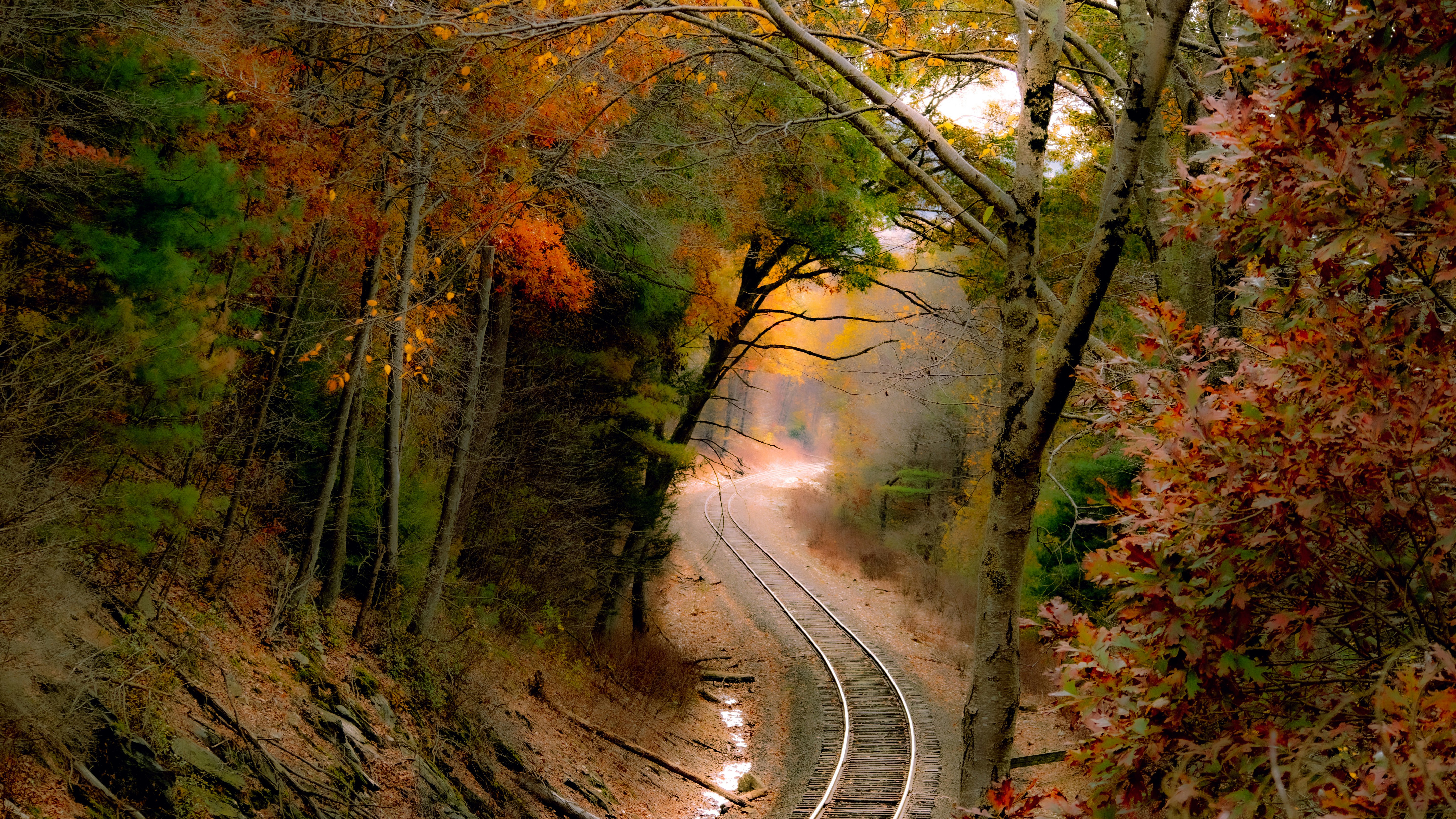 Autumn Train Tracks