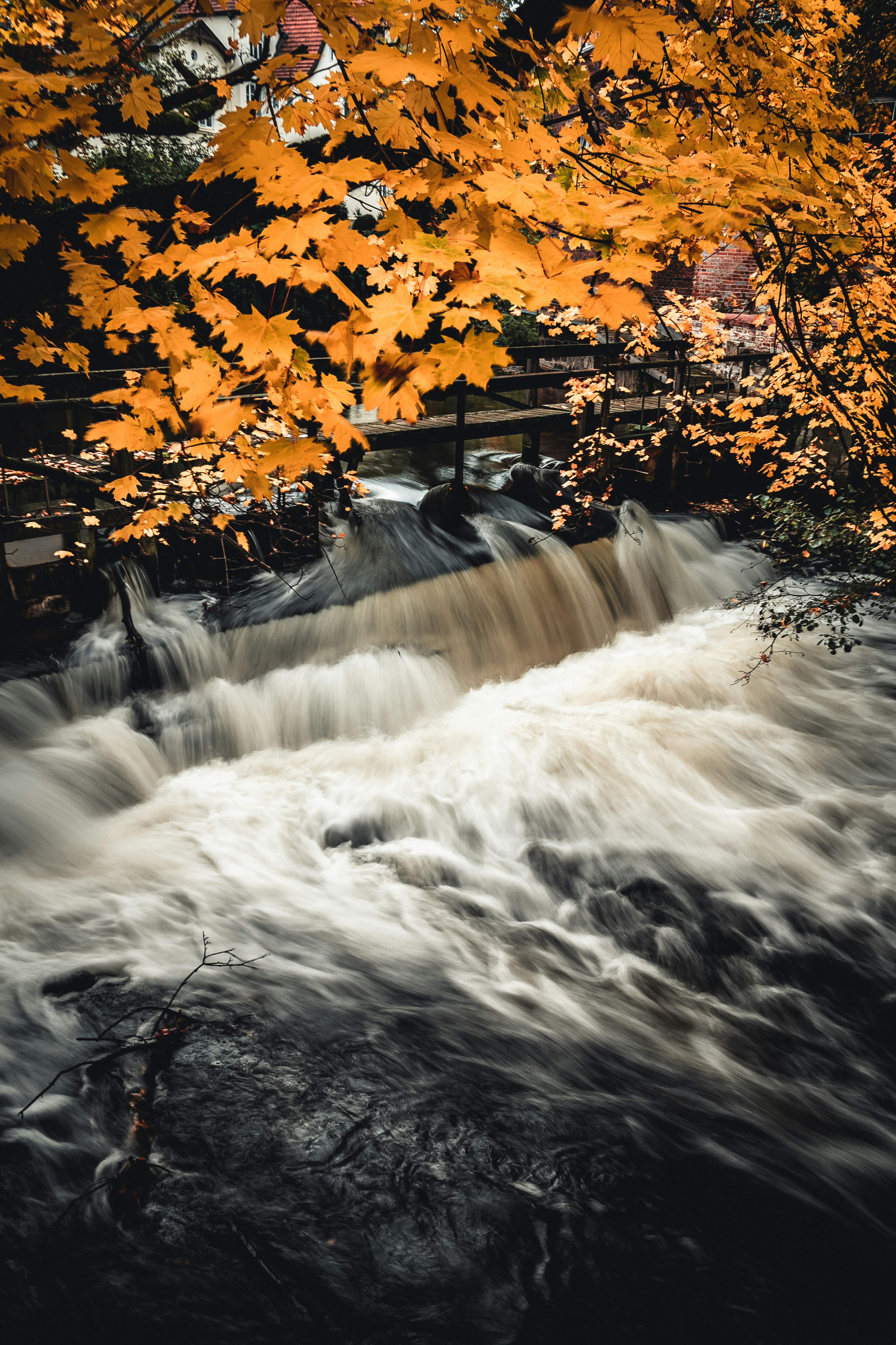 Golden leaves frame a rushing waterfall, capturing the essence of autumn's transition. The water cascades over rocks, creating a serene yet dynamic scene.
