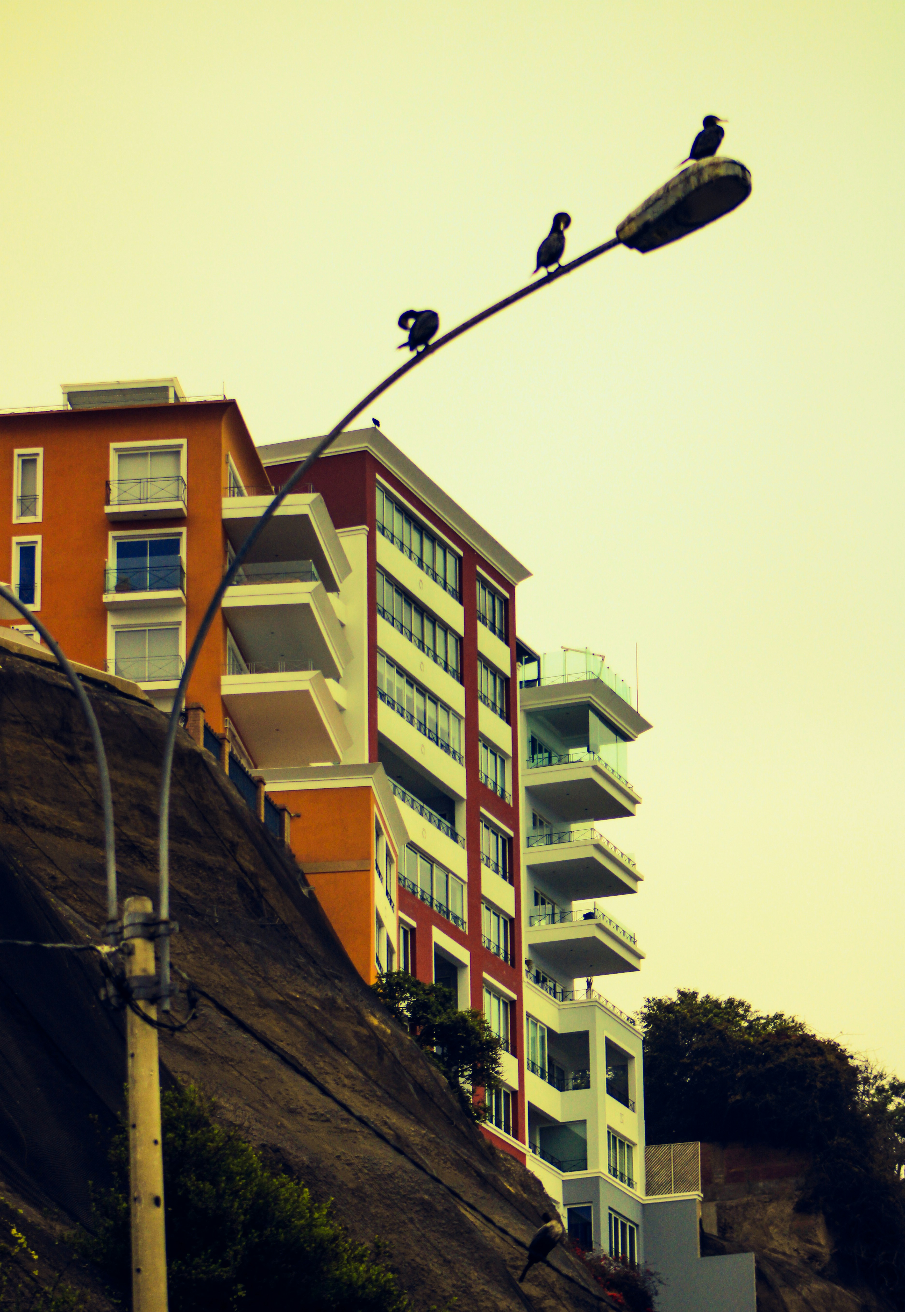 Curved Streetlight Silhouette Over Multicolored Fanned-in Apartments