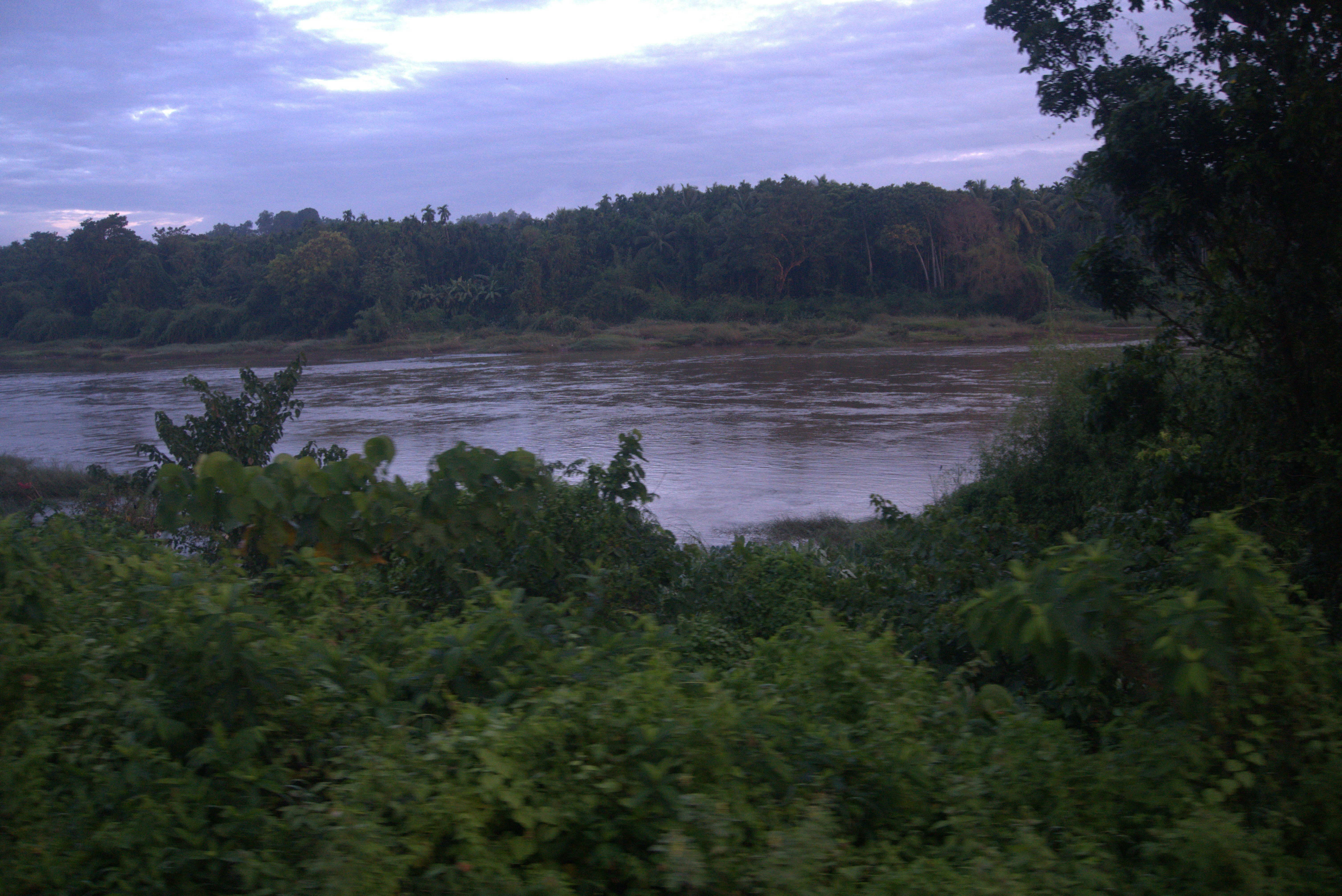 Whispers of the Riverbank at Dusk