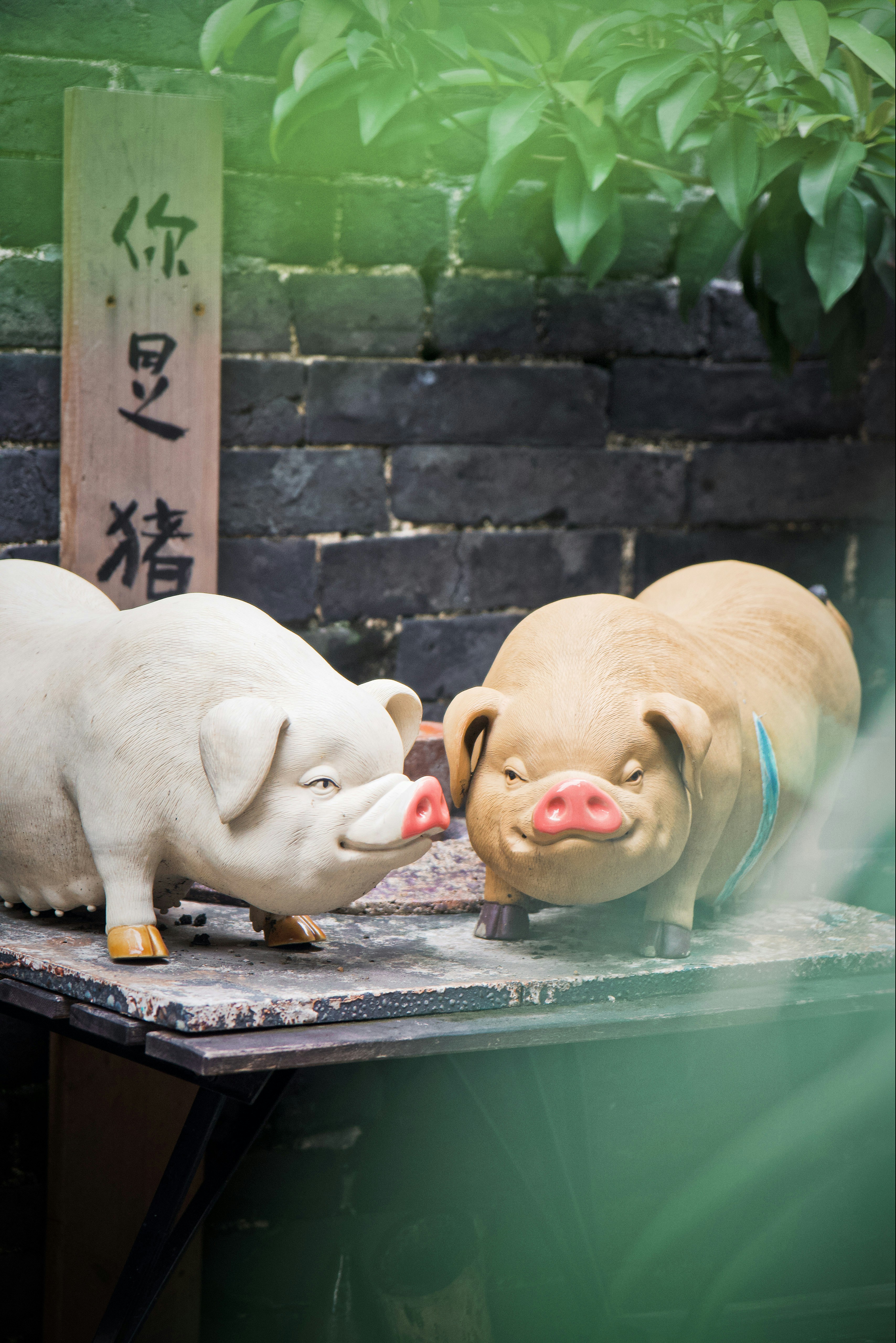 Une statue d’un cochon et d’un chien cochon s’embrassant photo – Photo ...
