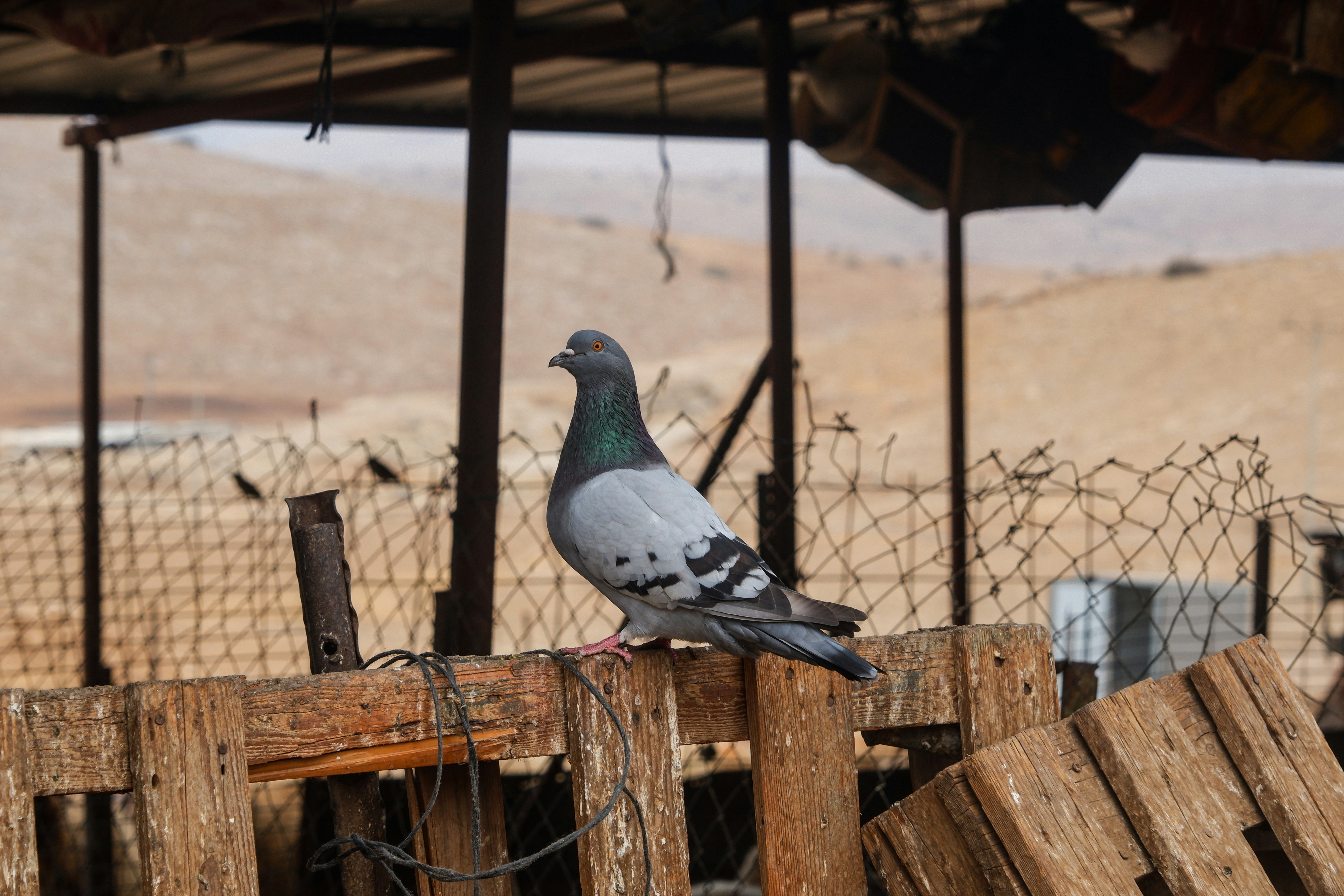 Photo by Ronit Shaked with Fujifilm X-T100