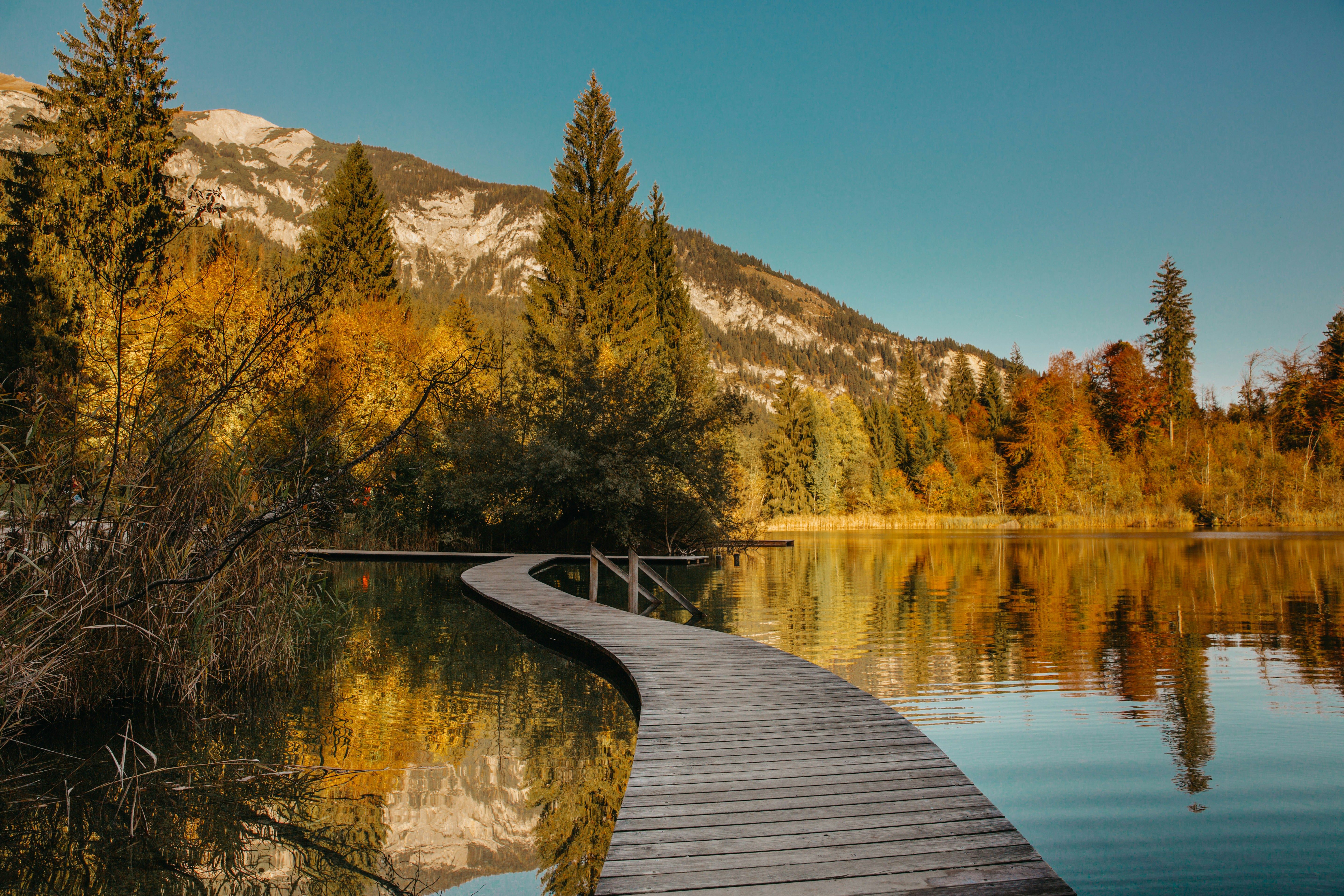 A wooden dock sitting on top of a lake next to a forest photo – Free ...
