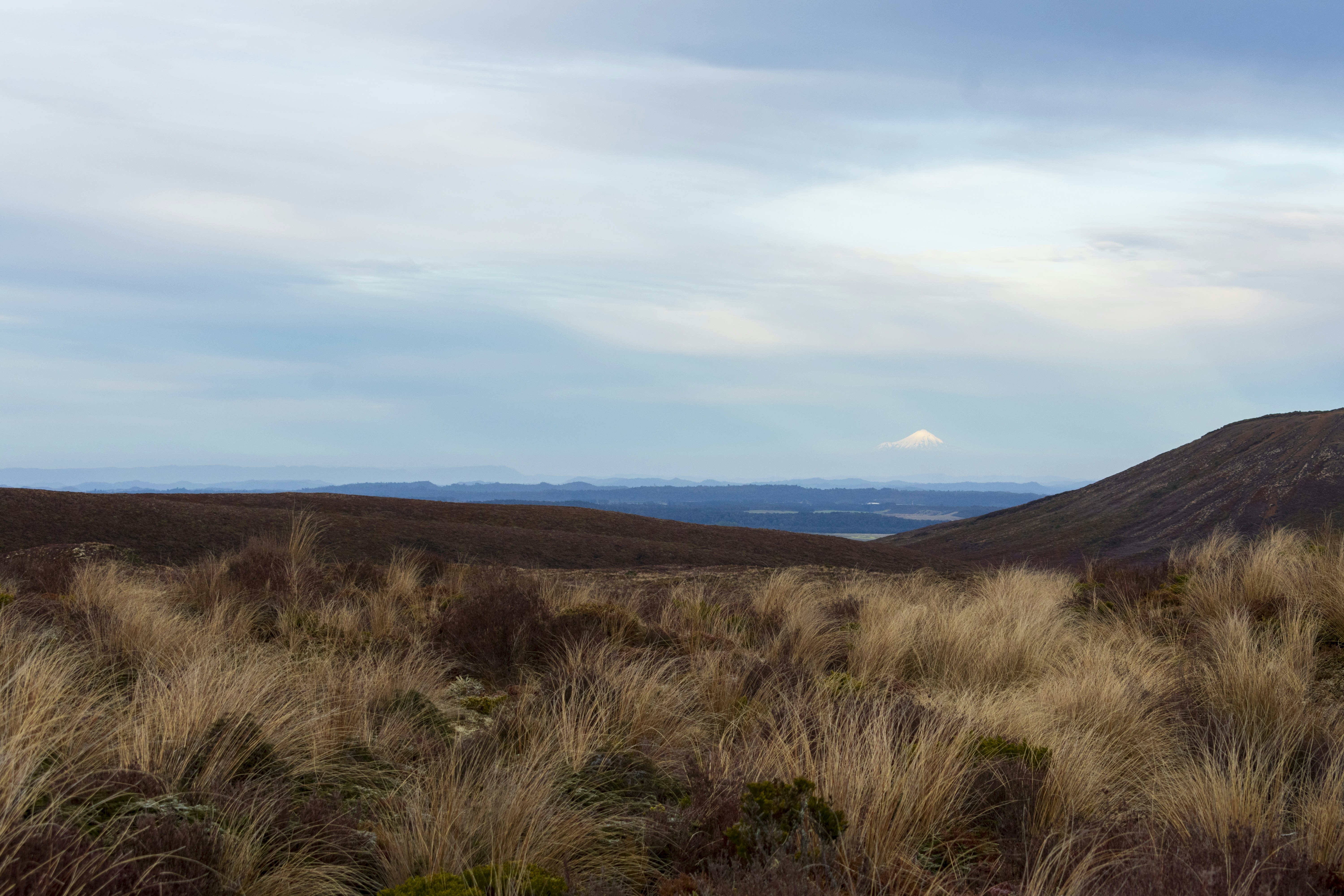 Brad Tipper (@warm__tape) | Komunitas Foto Unsplash