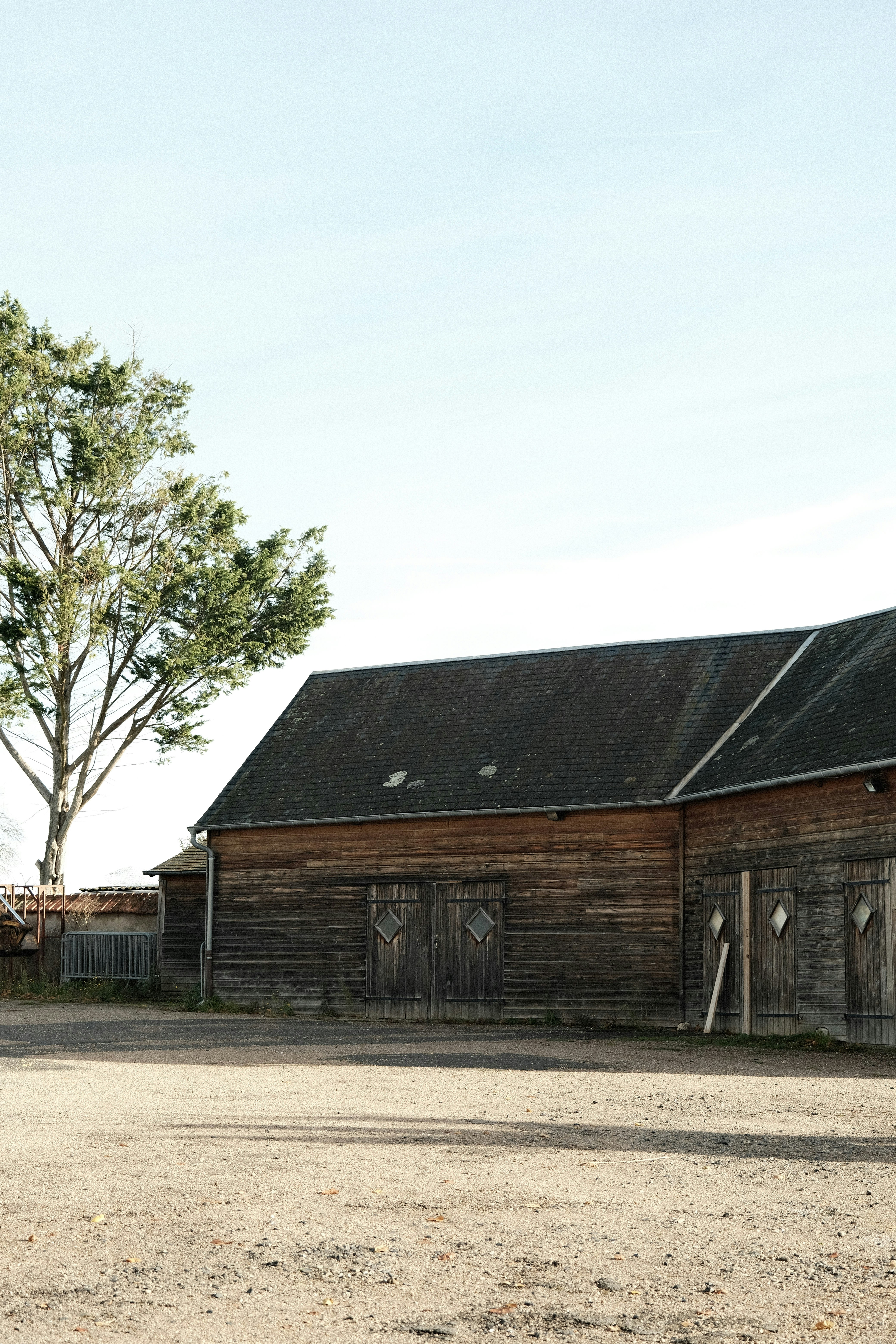 Weathered wooden barn nestled beside a tall tree in an open field under a clear sky.