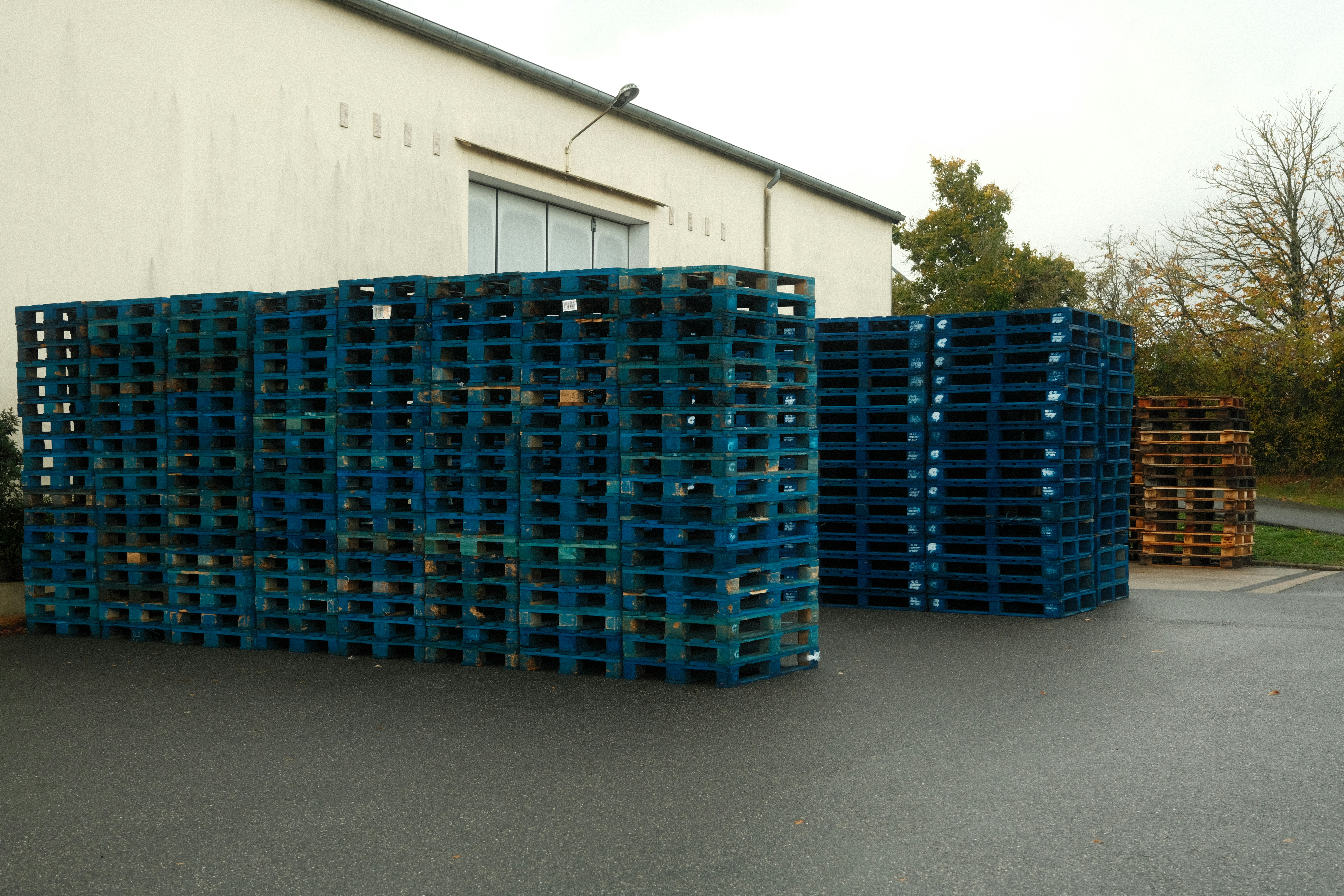 A bunch of blue pallets sitting outside of a building photo – Free ...