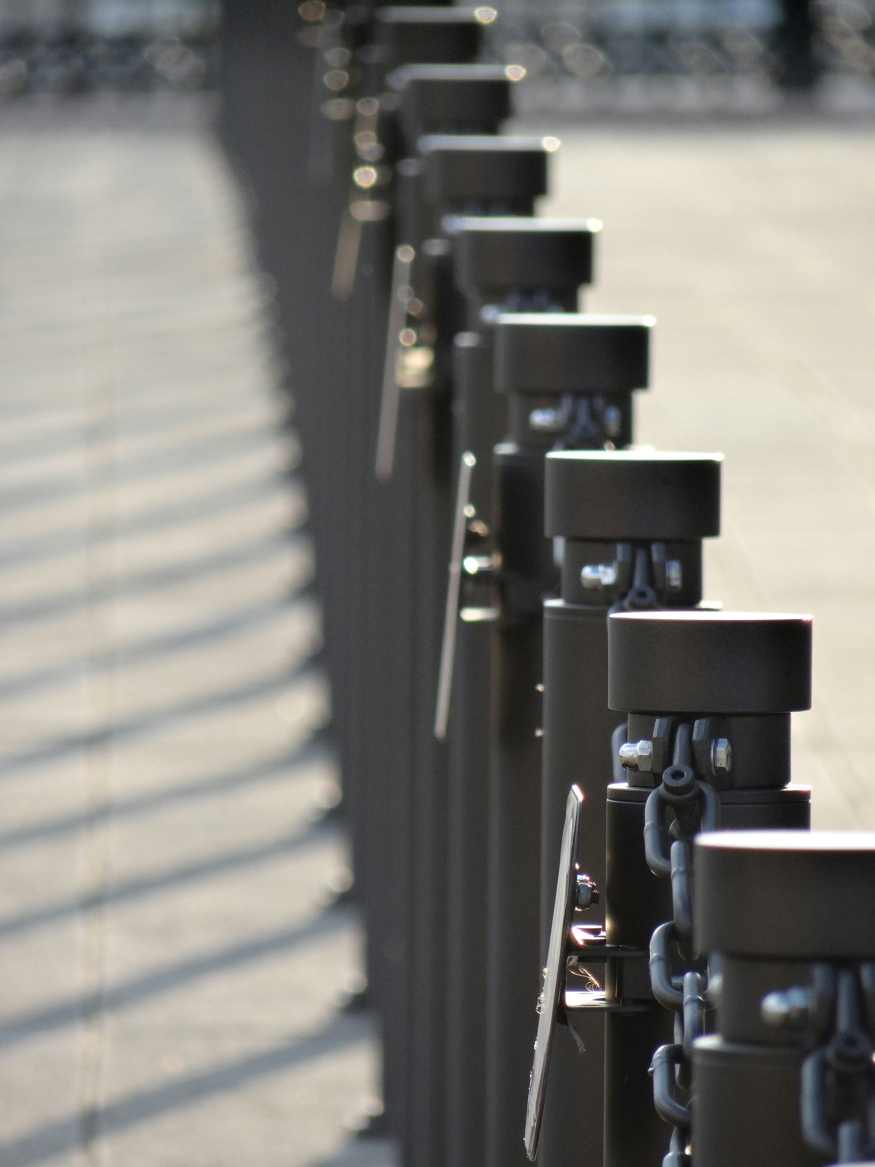 Converging Sentinels: A Sunlit Row of Mooring Posts in Depth