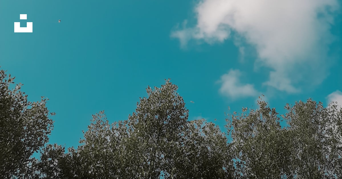 雲と木々を手前にした青い空の写真 Unsplashの無料自然写真