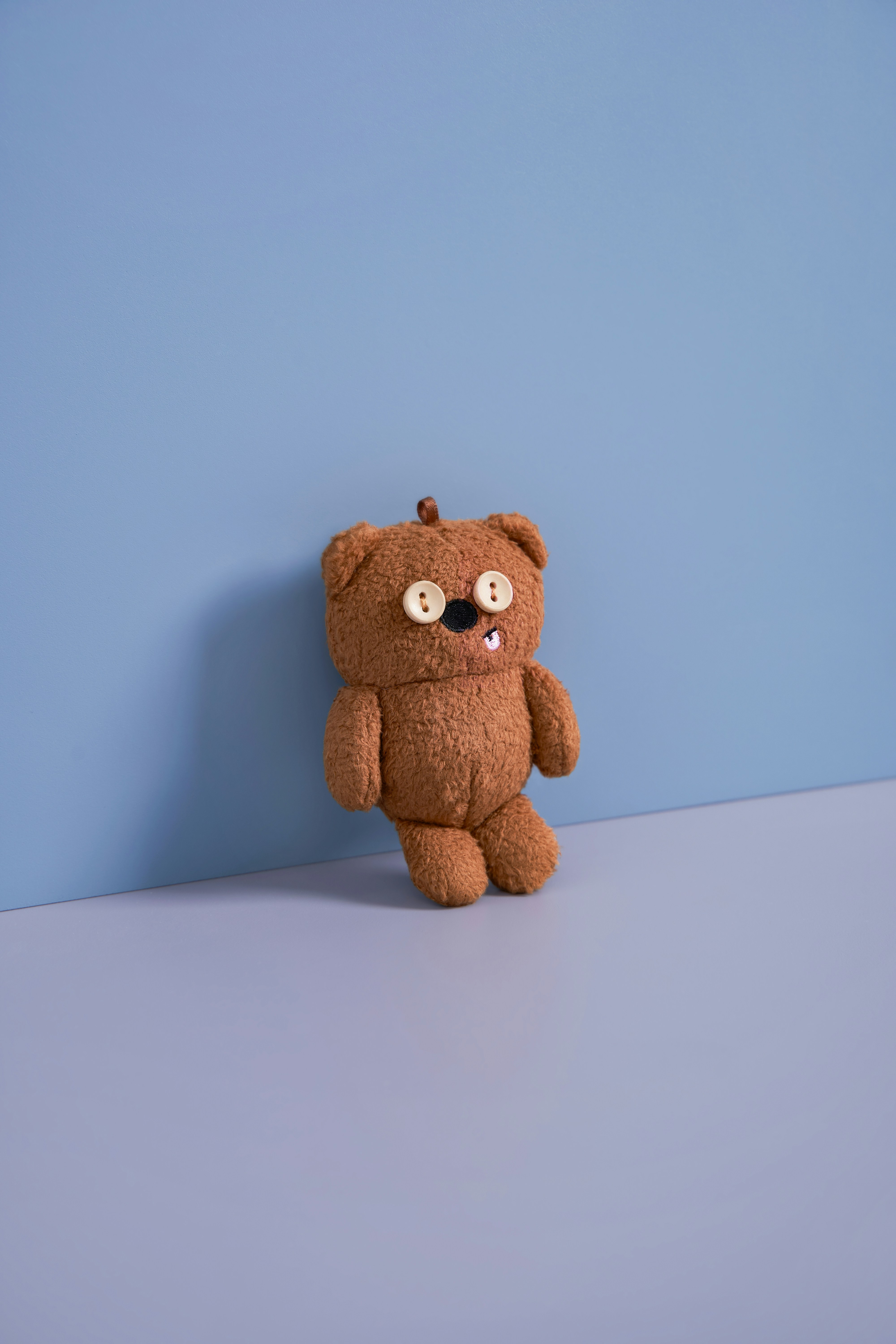 The Official Teddy Pictures | Download Free Images on Unsplash