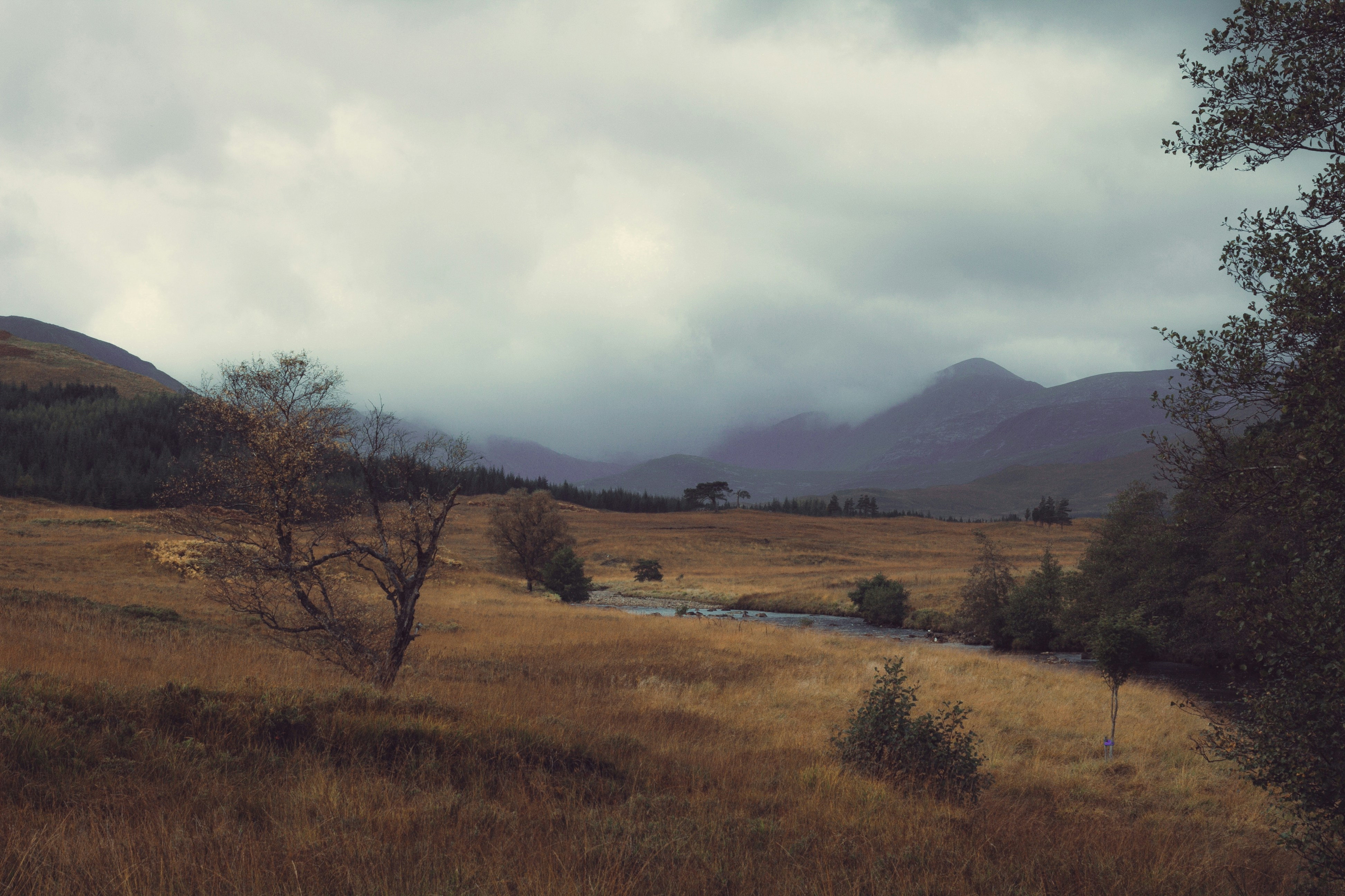 Rolling hills shrouded in mist with a winding river and sparse trees under a cloudy sky.