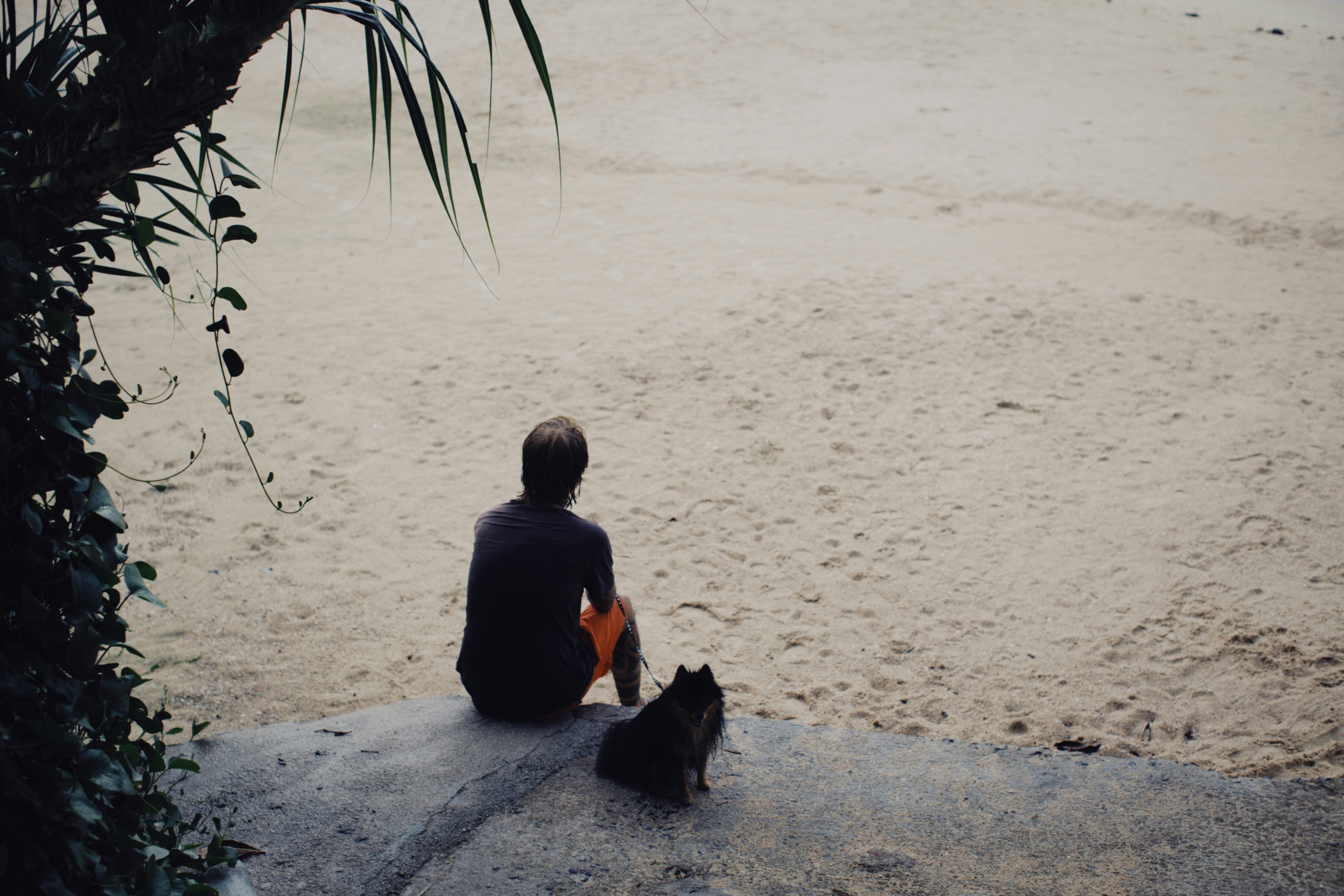 Solitude by the Shoreline