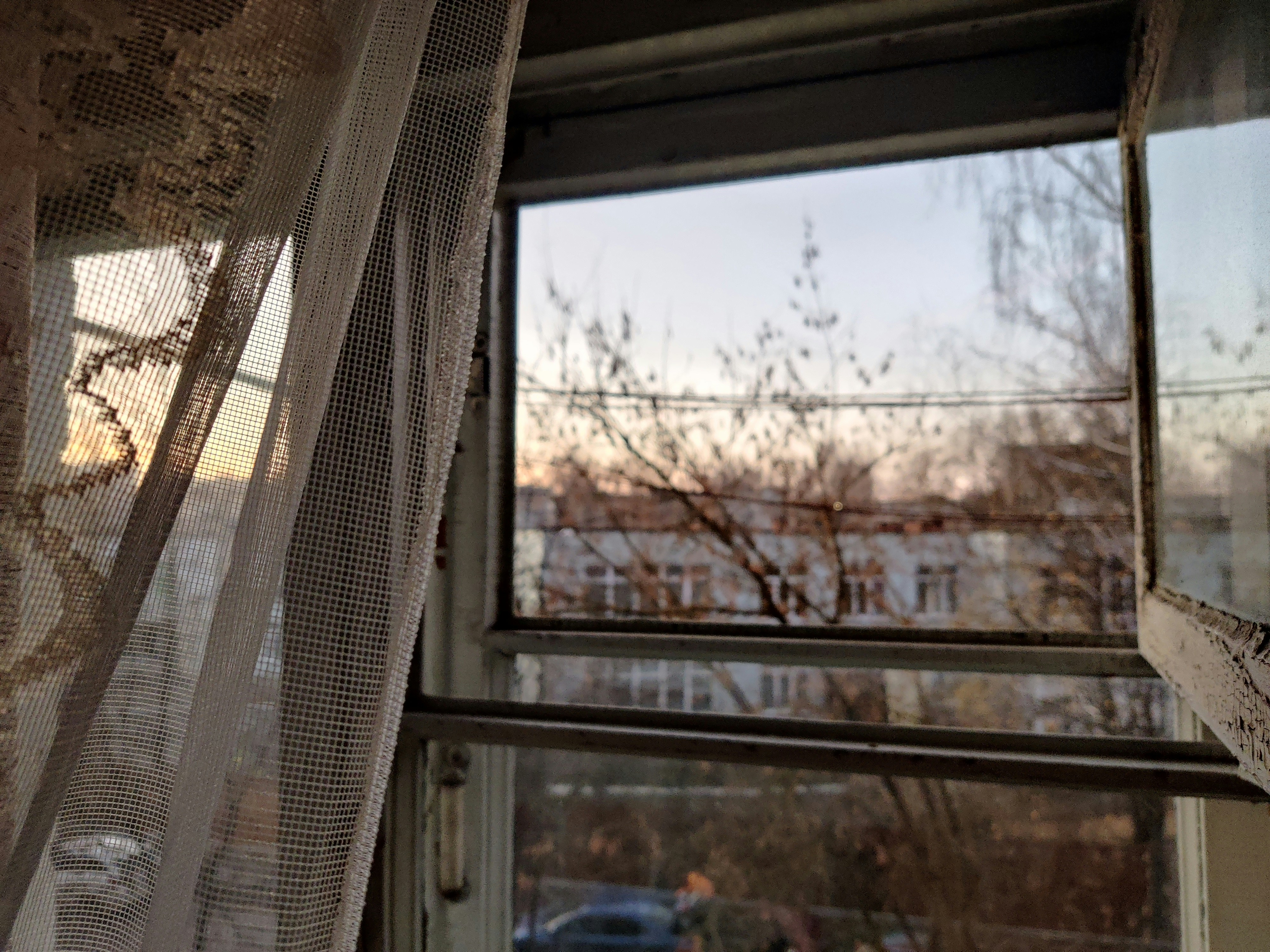a cat sitting on a window sill looking out the window