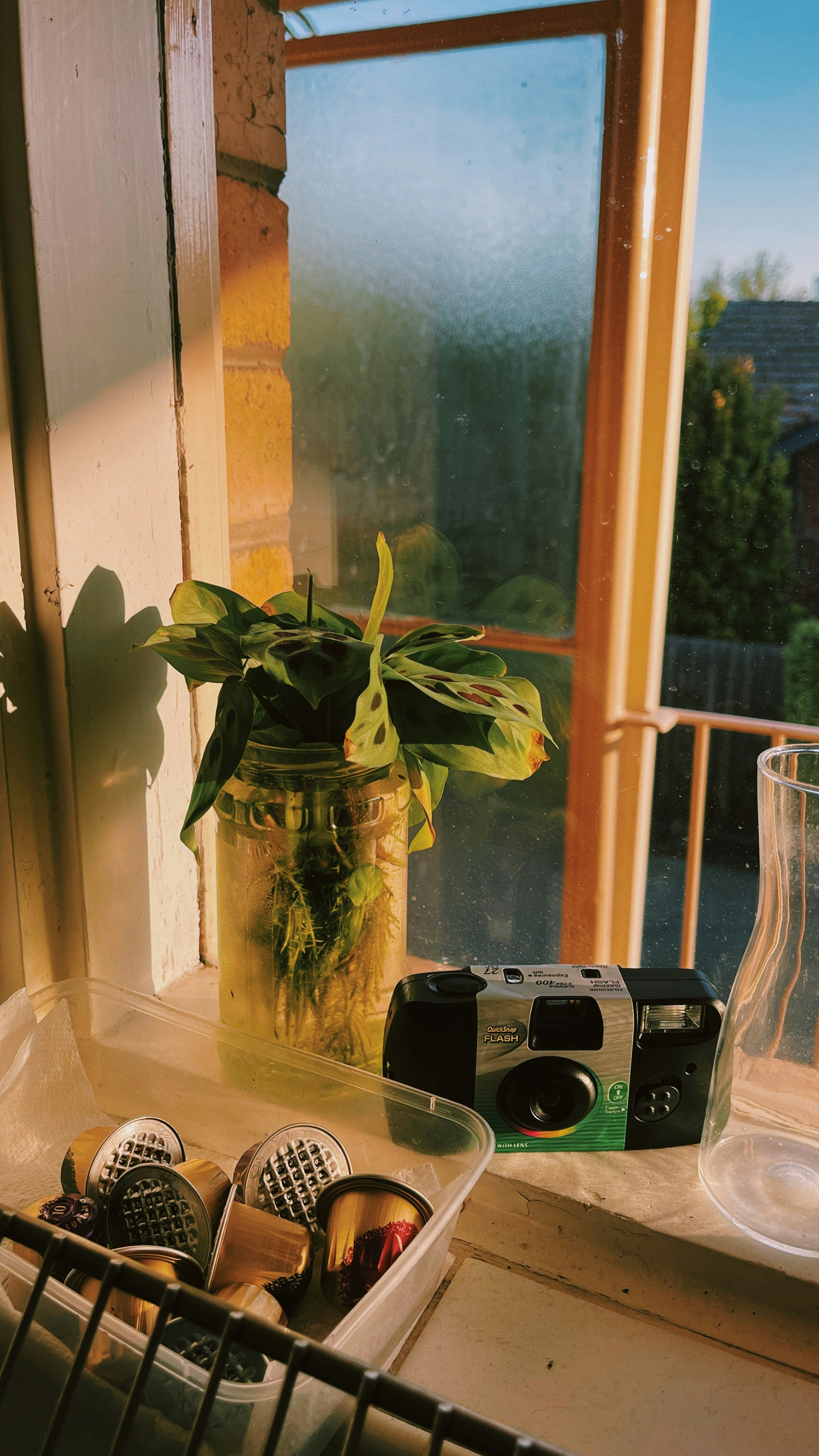 a potted plant sitting on top of a window sill