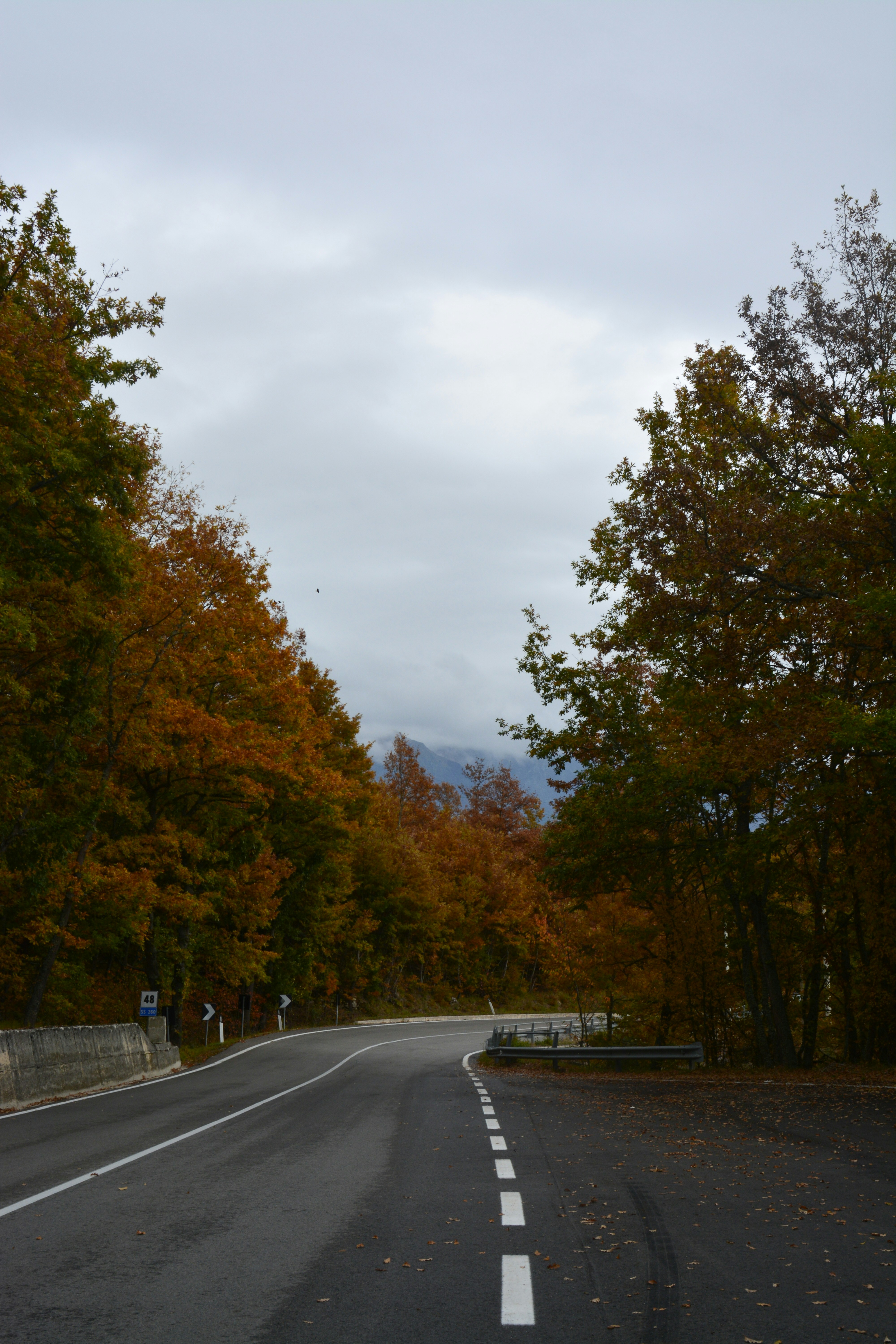 Daniela Elsini (@daniela_elsini) | Komunitas Foto Unsplash