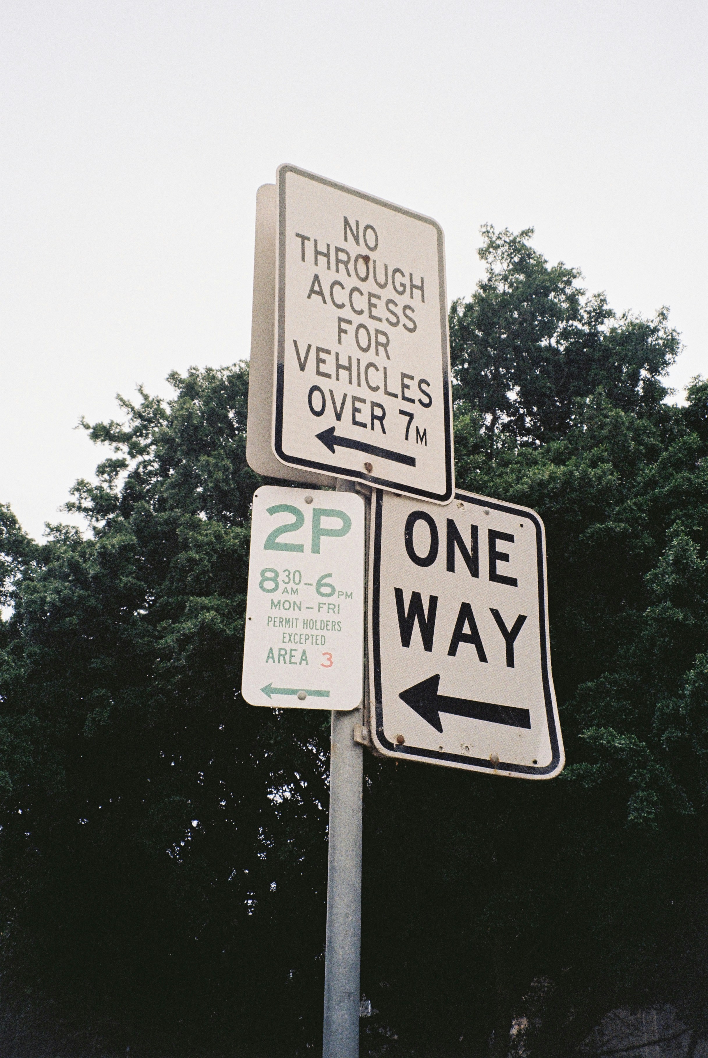 Two street signs on a pole with trees in the background photo – Free ...