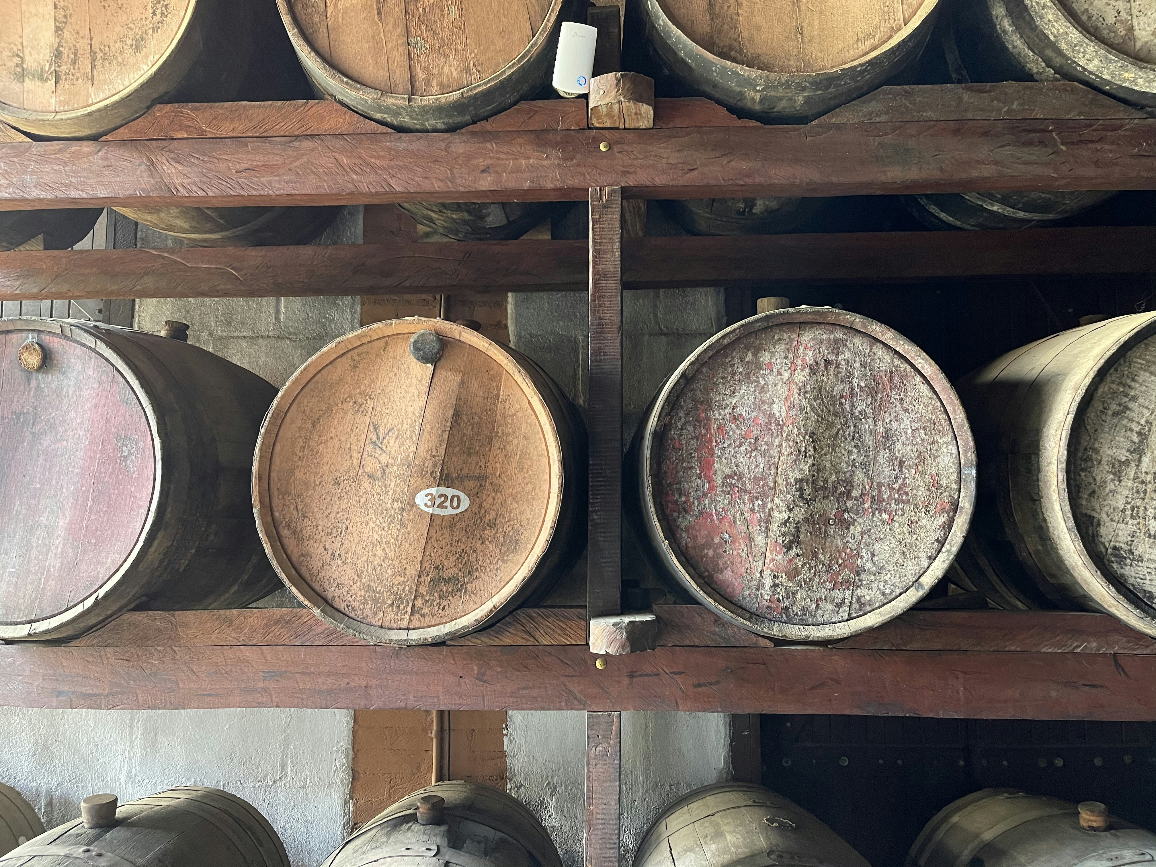 A shelf filled with lots of wooden barrels photo – Free Barrel Image on ...