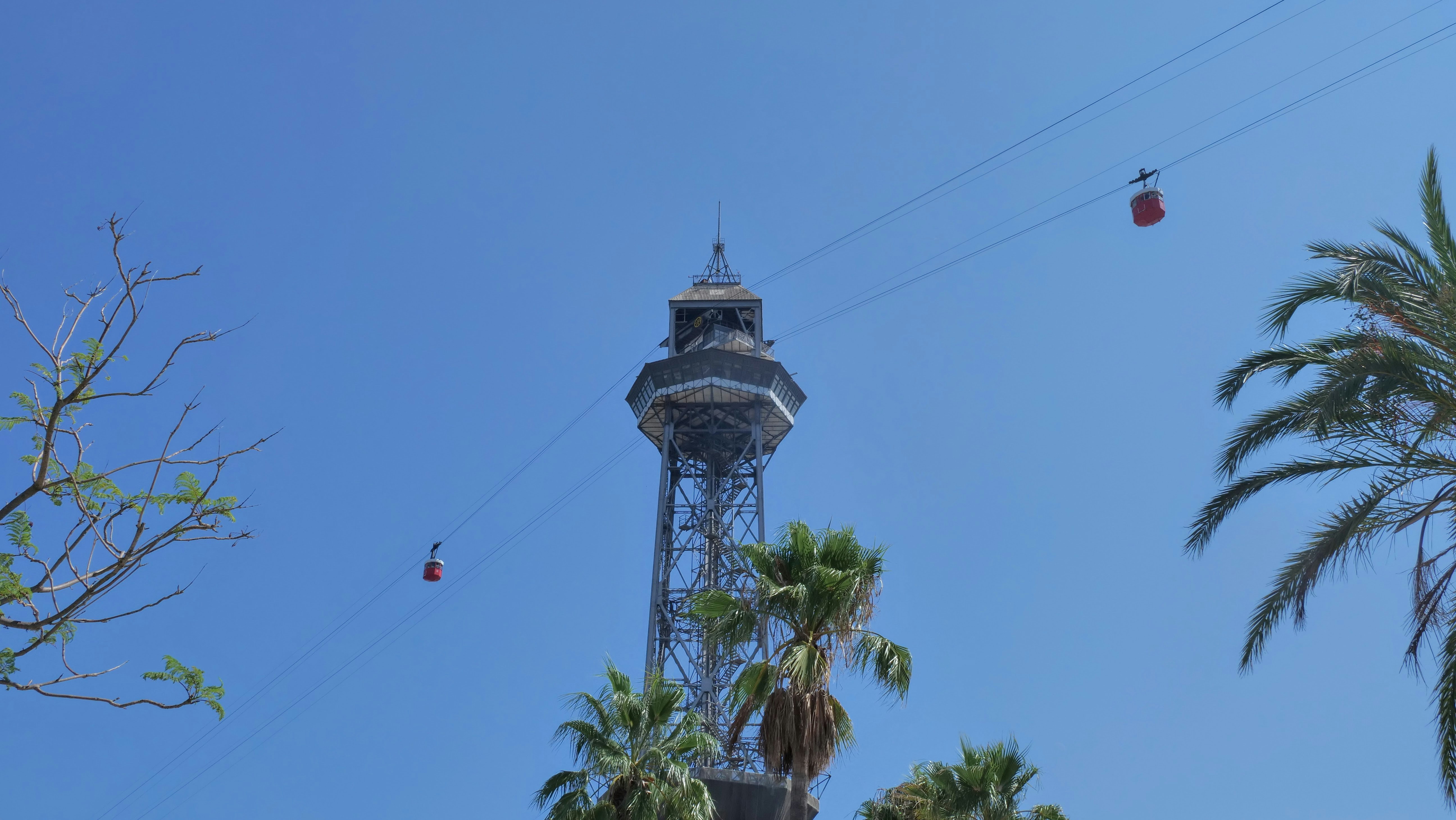 Cable-Tower Over Palm Fronds: Red Gondola Crossing the Blue