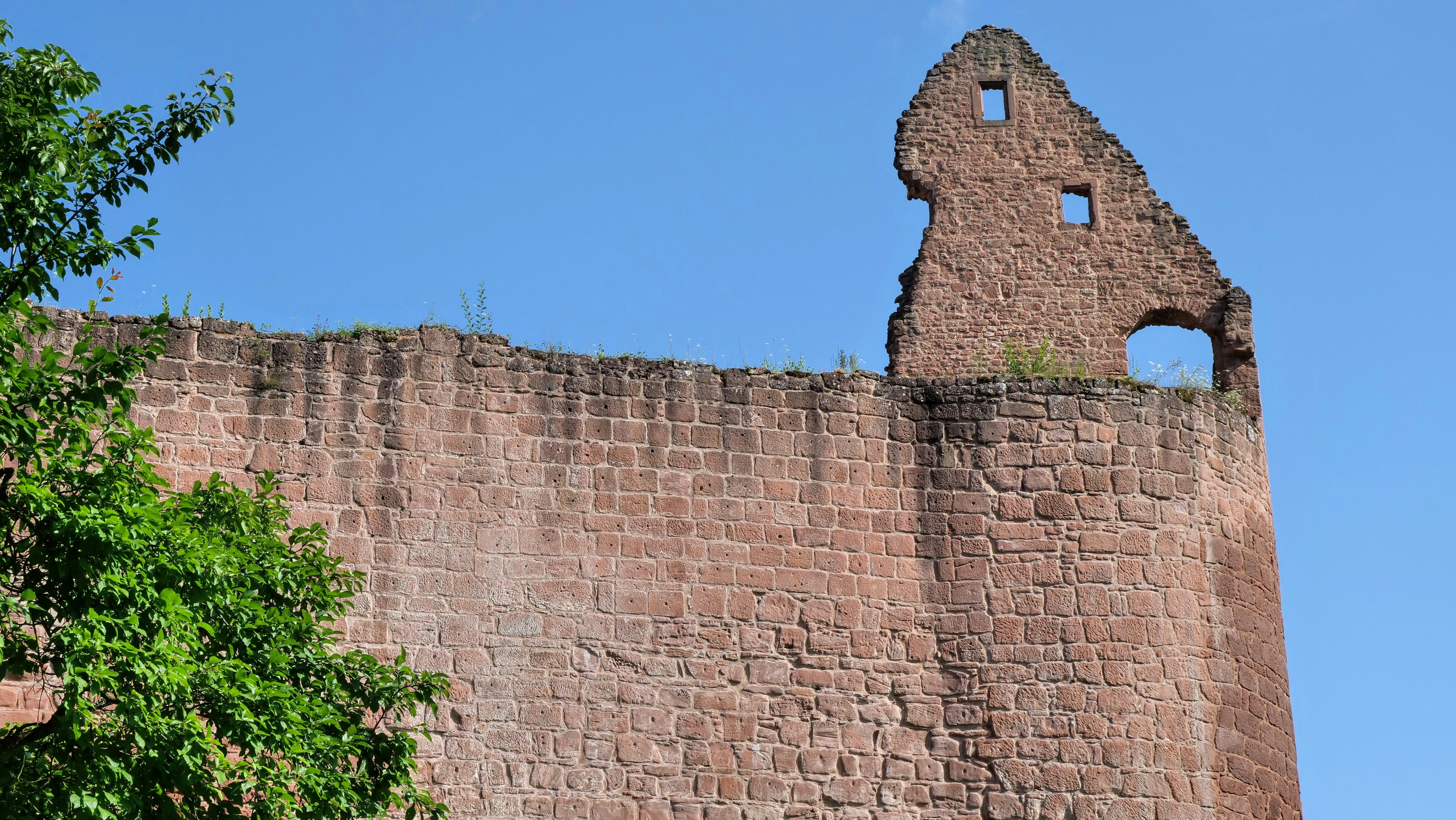 Ancient stone wall of a fortress with a distinctive, jagged outline against a clear blue sky, framed by lush green foliage.