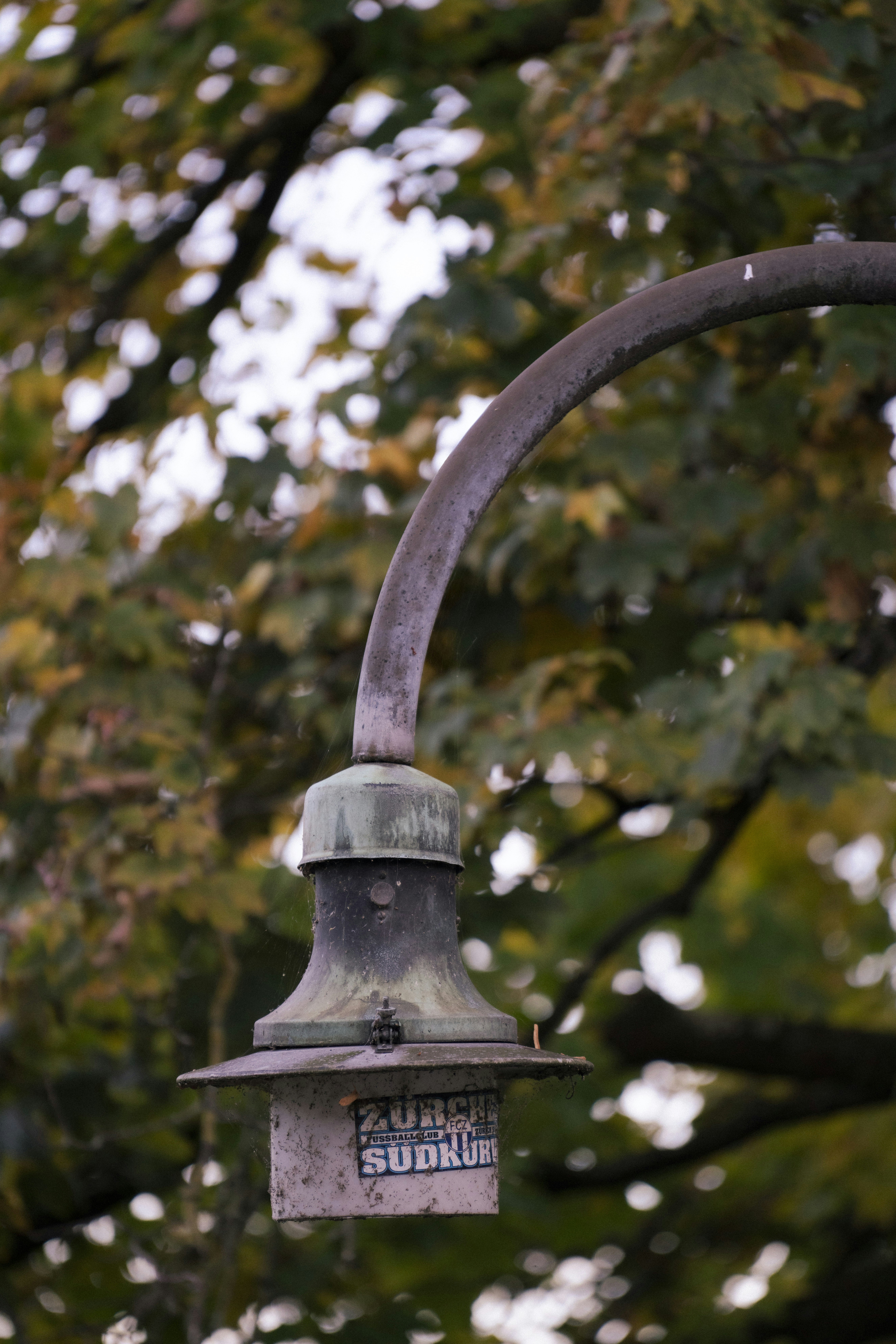 Arc of Rust in Autumn: a solitary lamp against drifting leaves