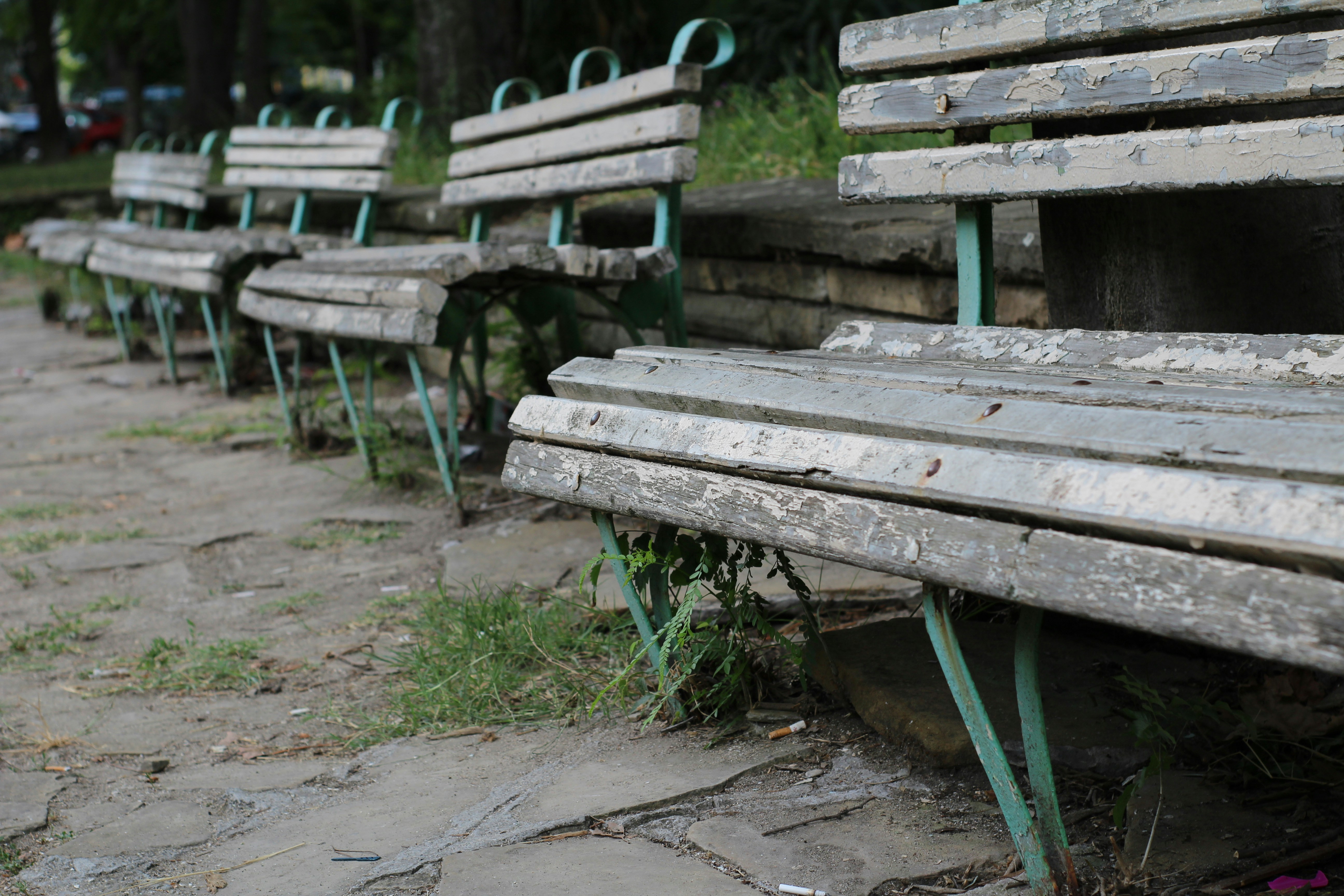 Weathered benches lined along a stone pathway, showcasing peeling paint and encroaching greenery.