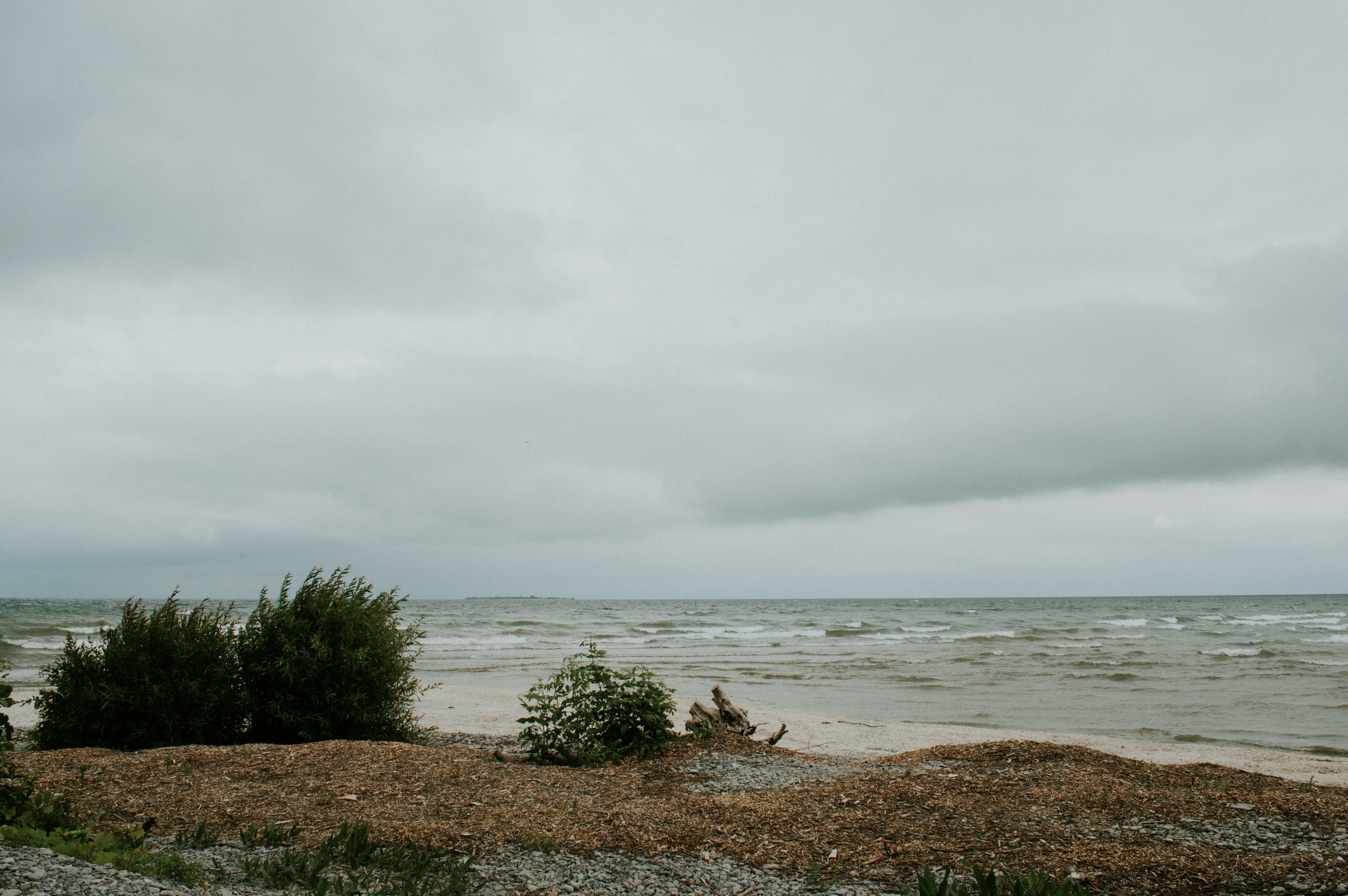 A tranquil coastal scene featuring gentle waves lapping at a pebble-strewn beach under a cloudy sky. Vegetation frames the shoreline, enhancing the serene atmosphere.