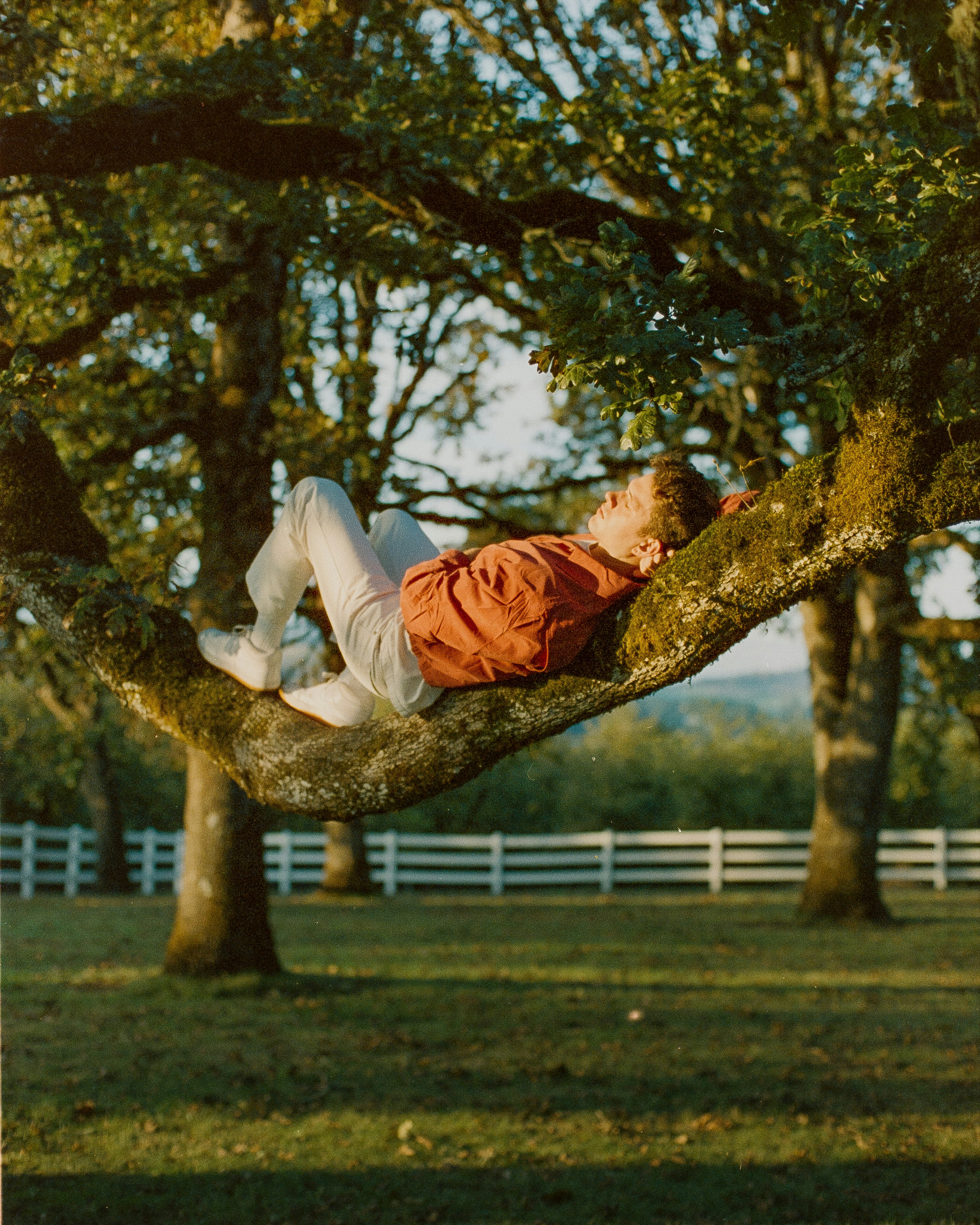 A man laying on a tree branch in a field photo – Free Man Image on Unsplash