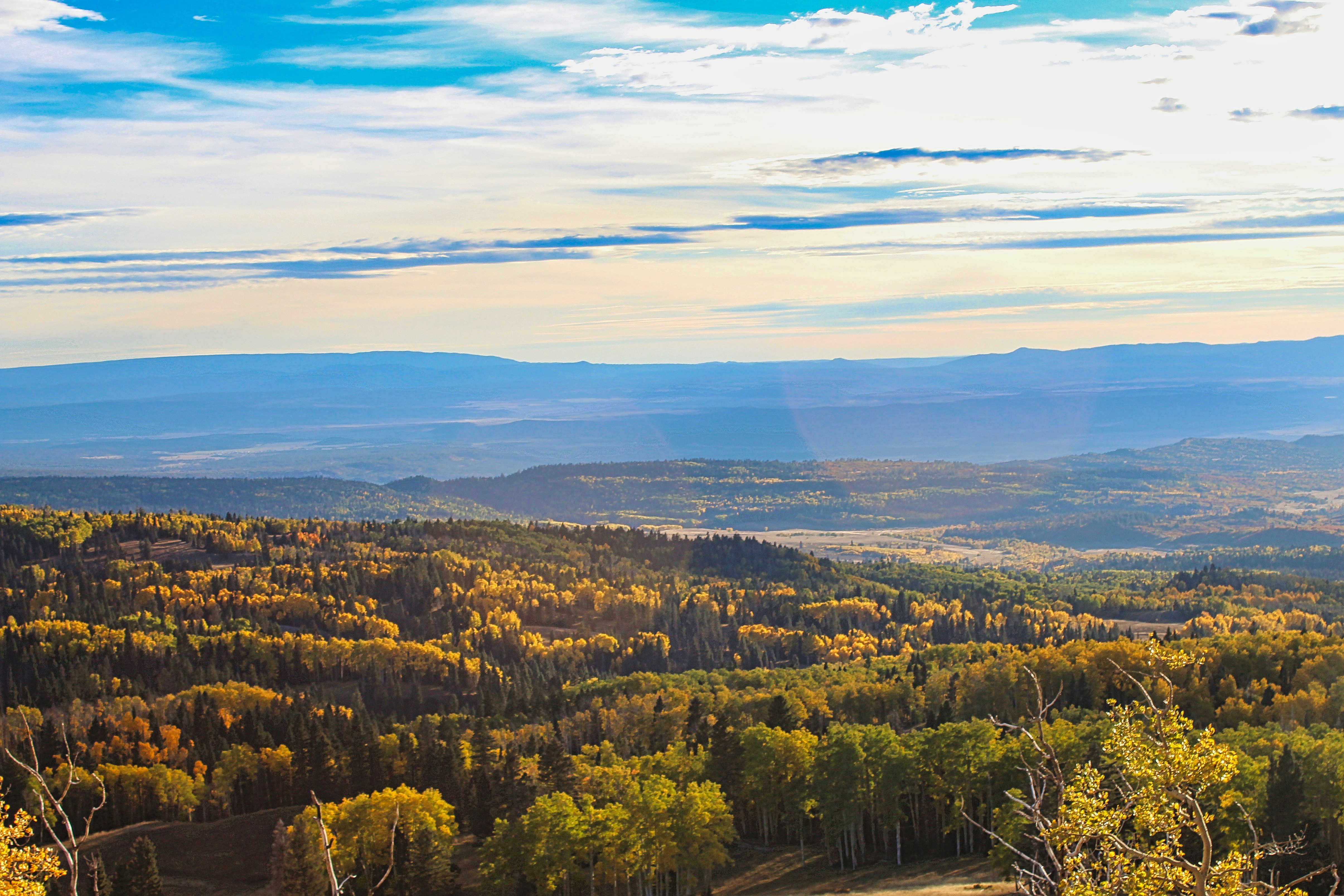 Expansive view of a valley blanketed in autumn foliage with a distant mountain range under a cloud-streaked sky.