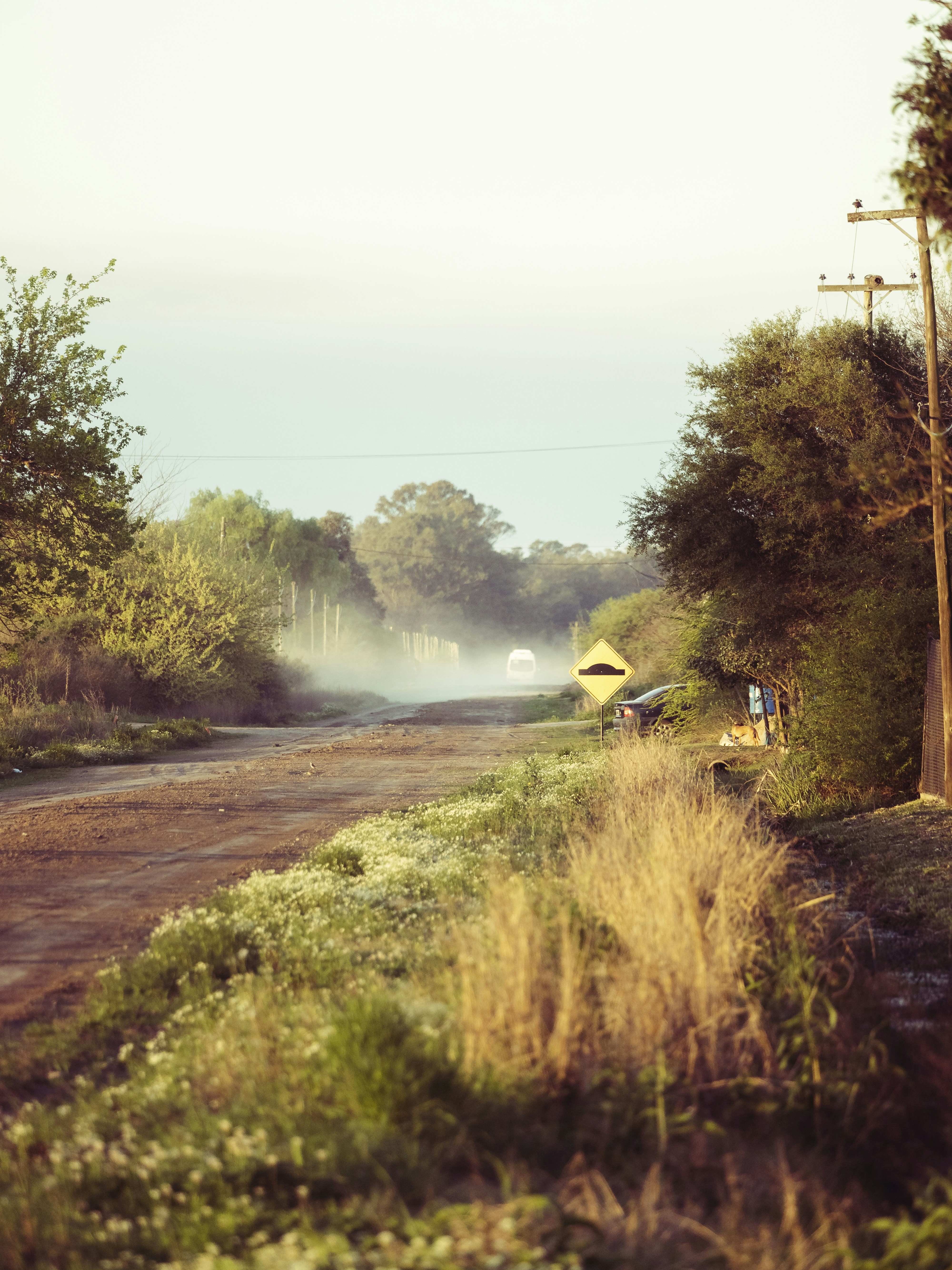 Dust Trail to the Vanishing Point: A Quiet Rural Road at Golden Hour