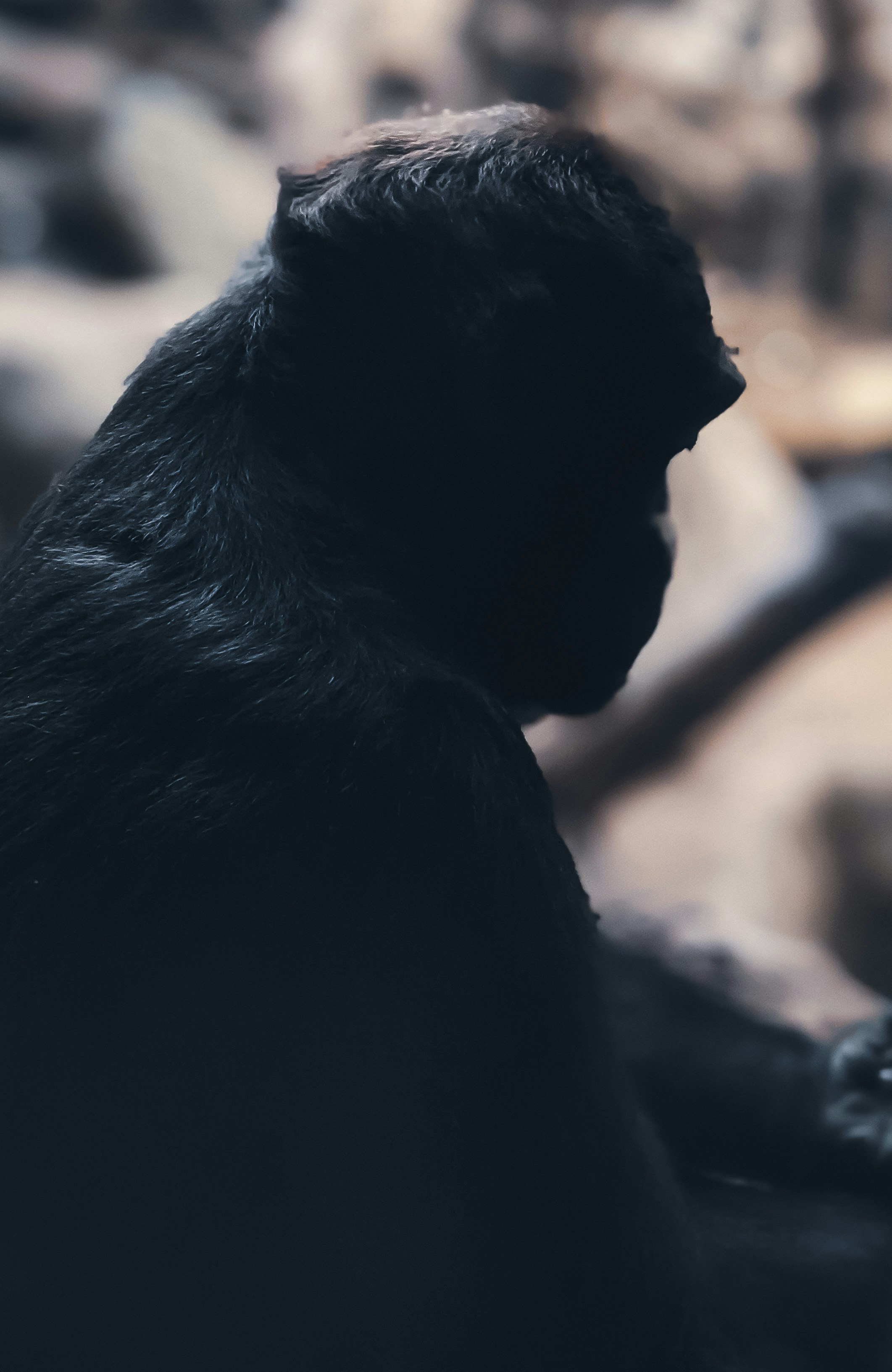 Thoughtful.