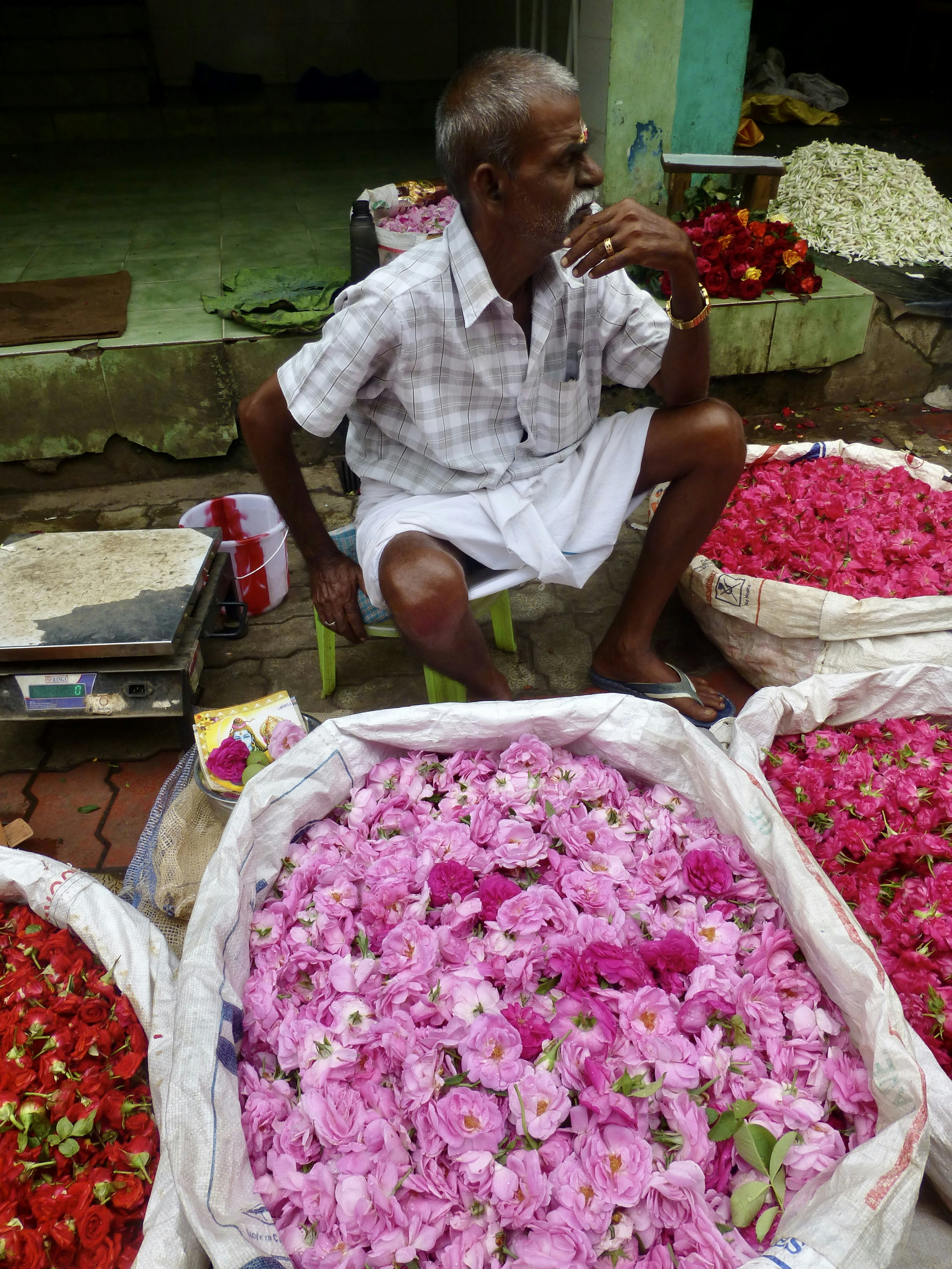 A vendor seated beside vibrant sacks of pink and red flowers, showcasing the rich colors and textures of a local flower market.