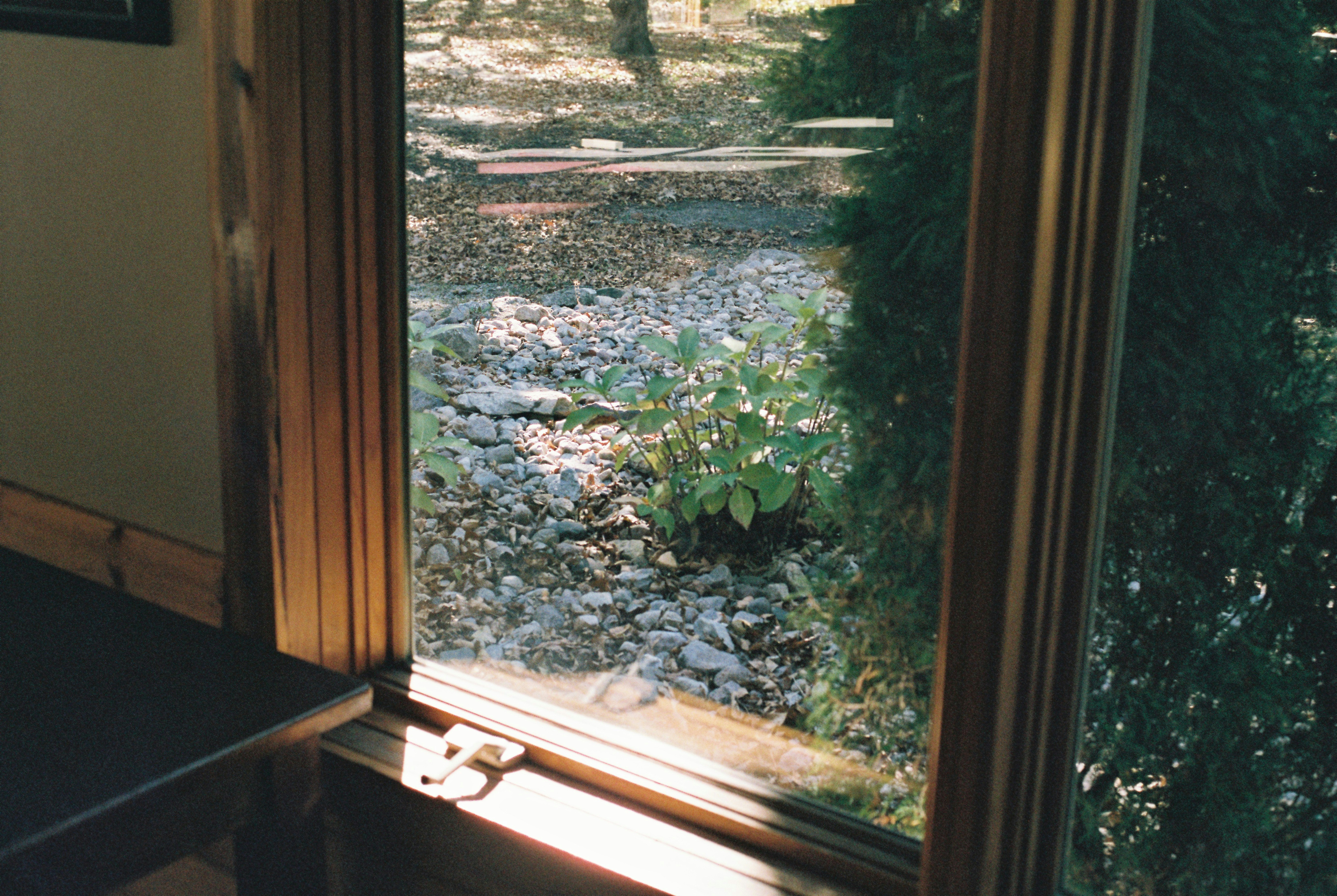 A view of a forest through a window photo – Free Picture window Image ...