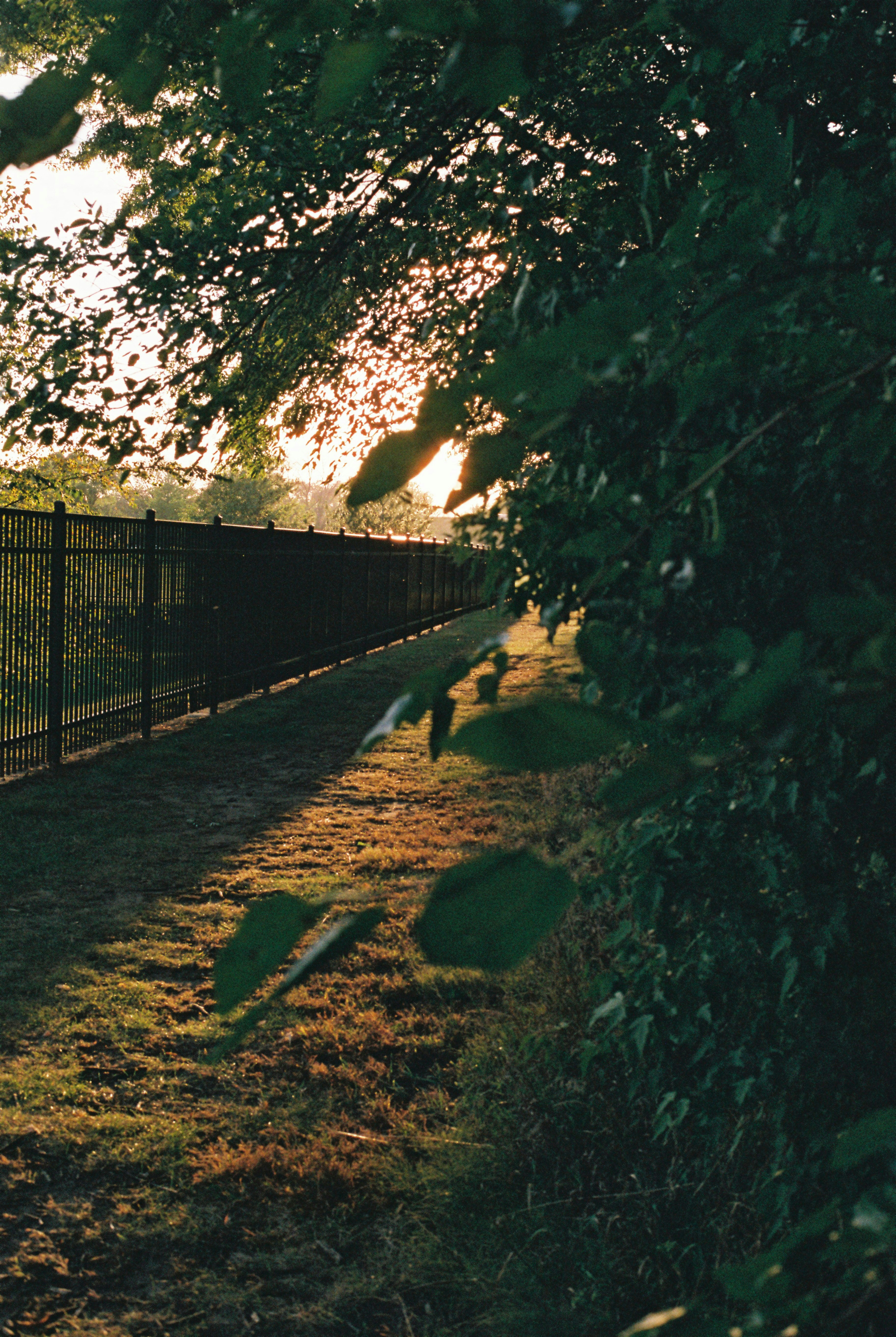 Photo by Davis Patton with Fujifilm SP-3000