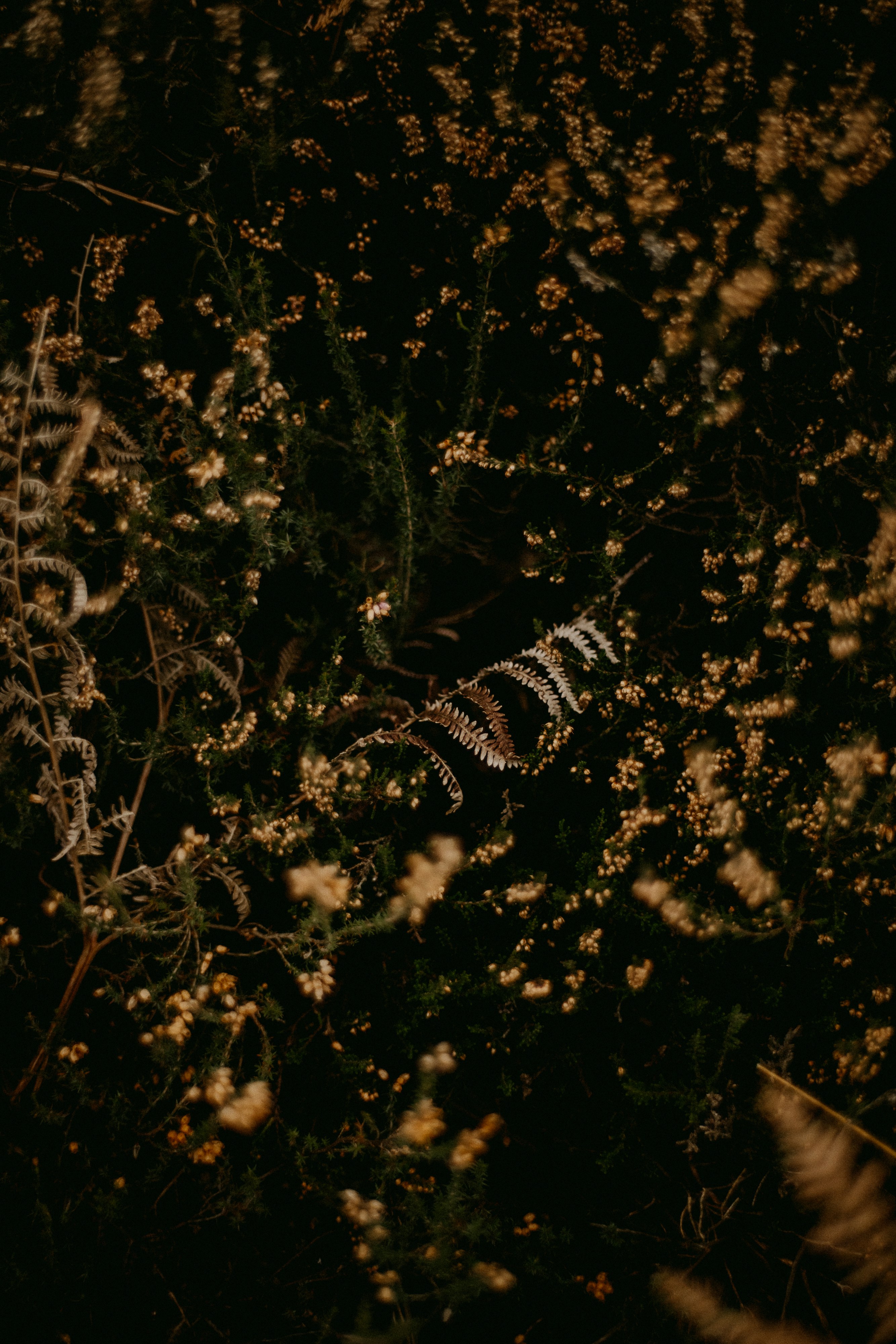 Copule Pictures | Download Free Images on Unsplash