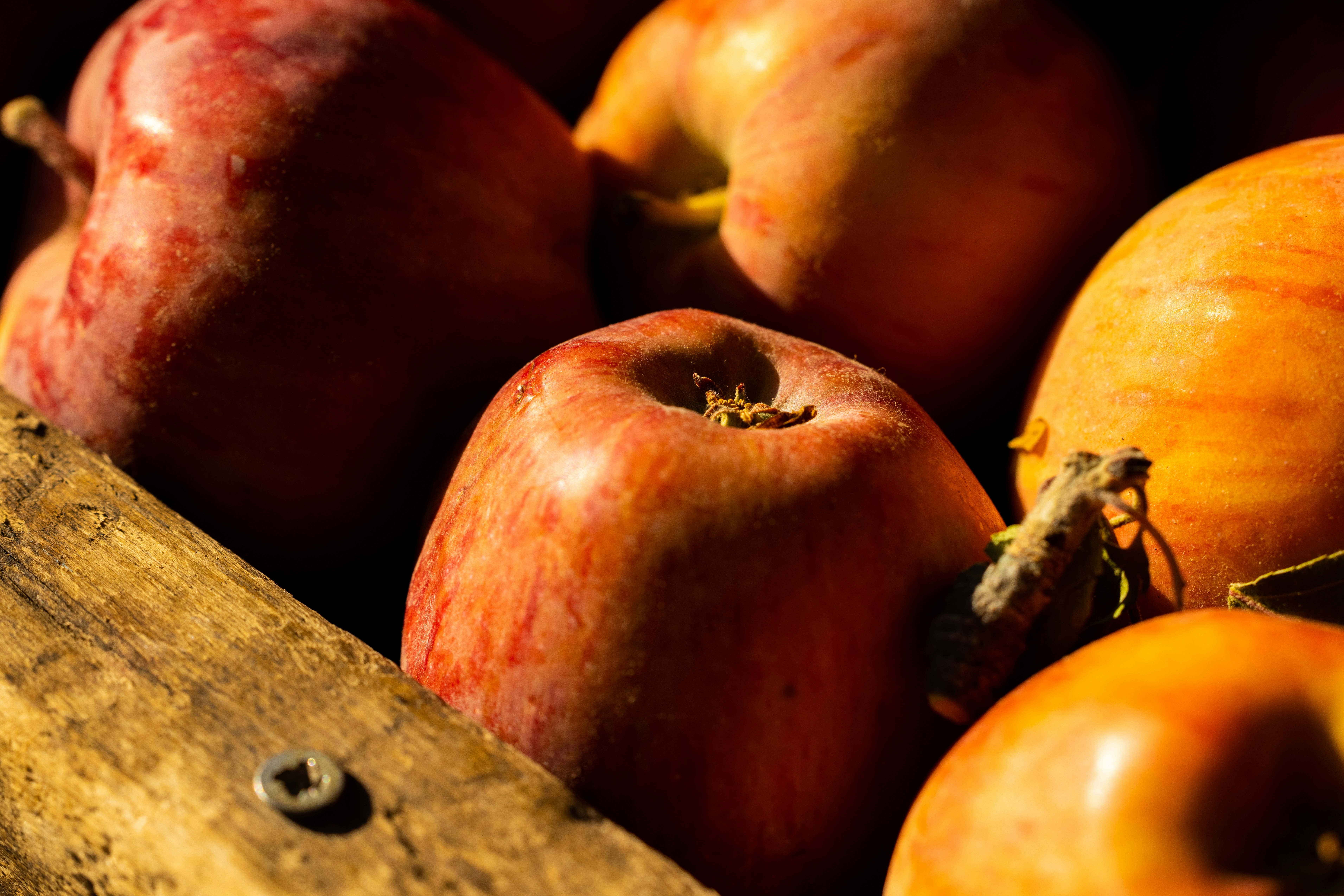 Sun-Warmed Apples Nestled Against Aged Wood