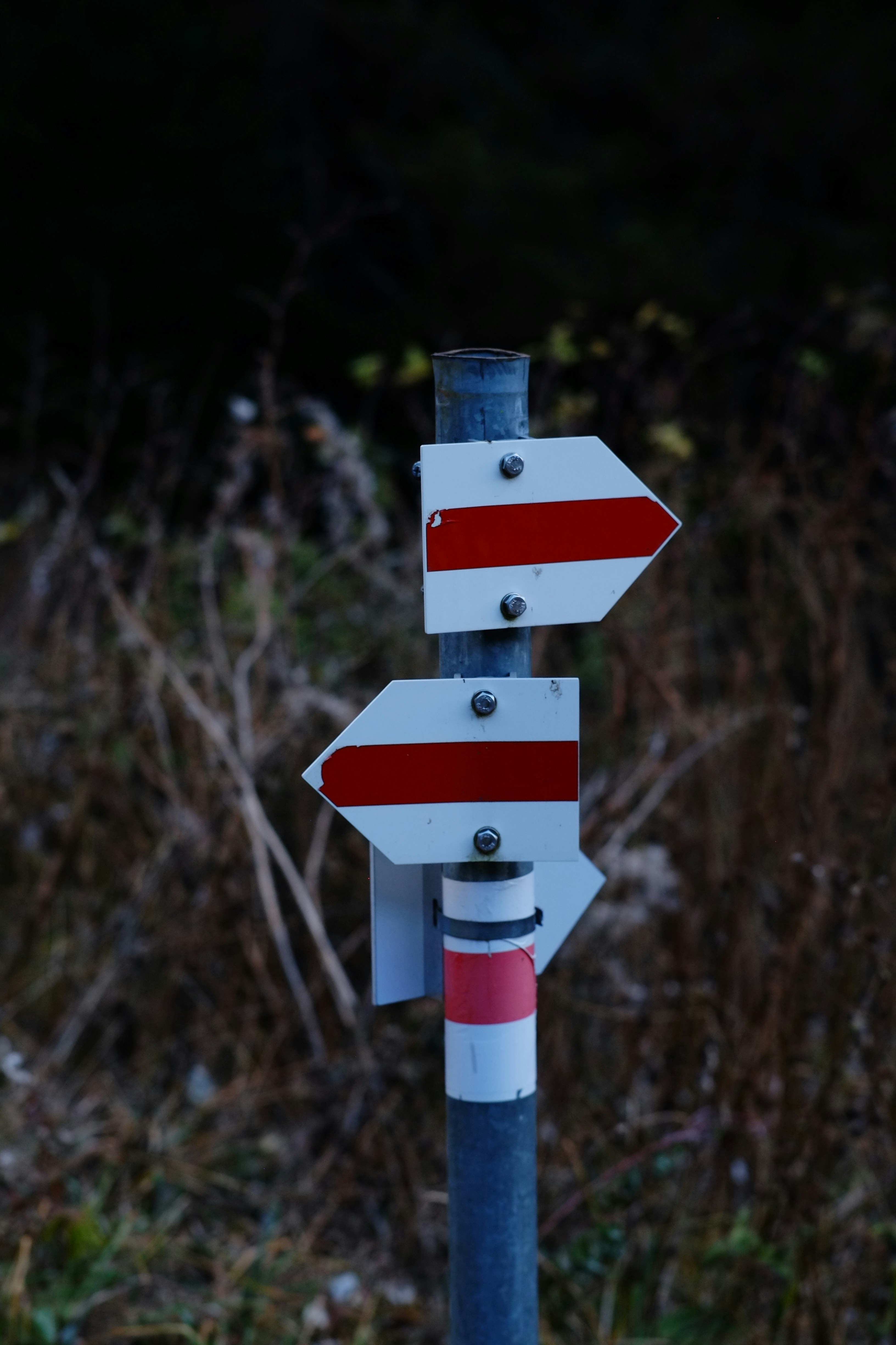 Twin Red-Striped Direction Signs Stand Guard in a Dim Thicket