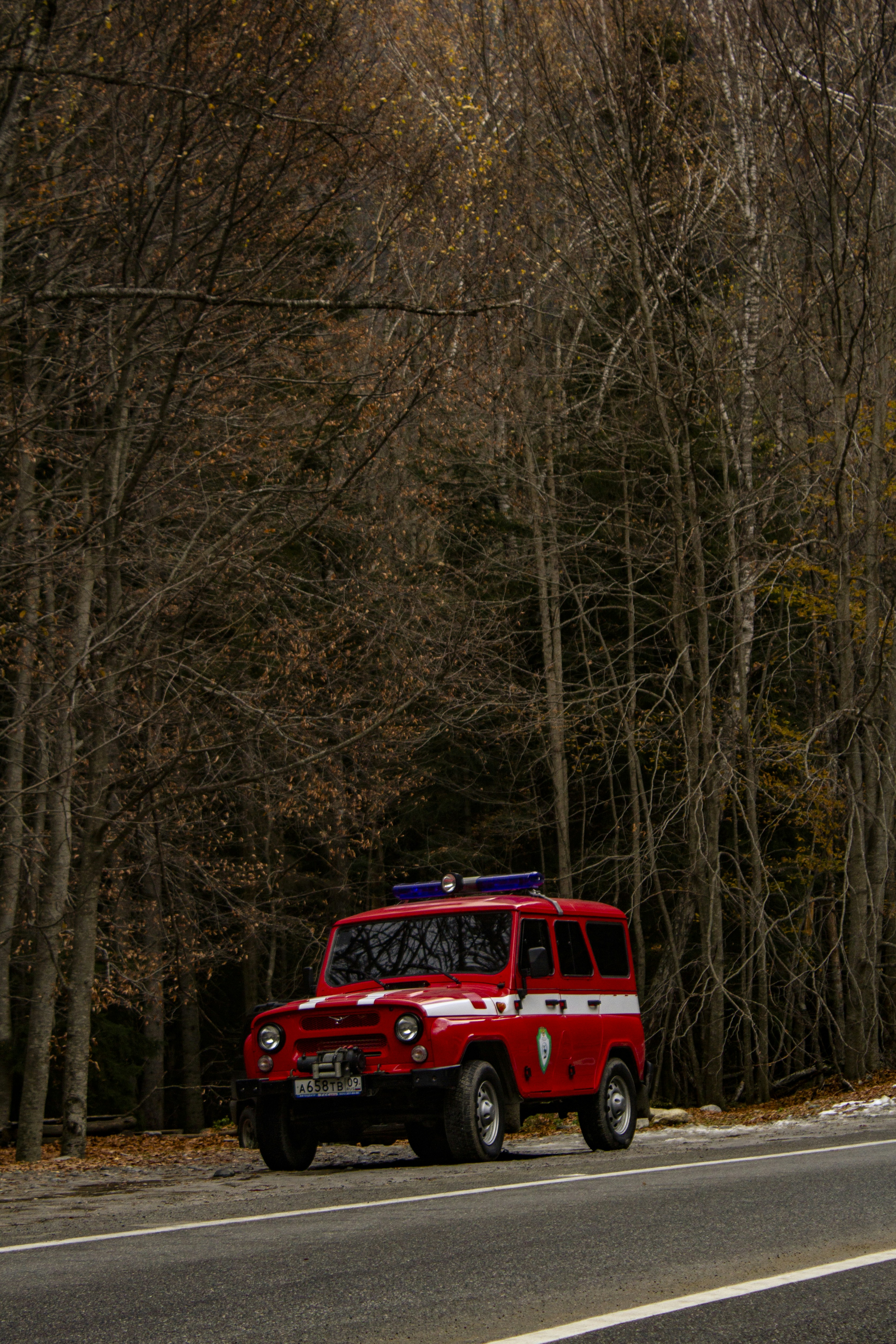 A vintage red emergency vehicle parked along a winding road, surrounded by a dense forest of bare trees. The scene captures a blend of nostalgia and nature's tranquility.