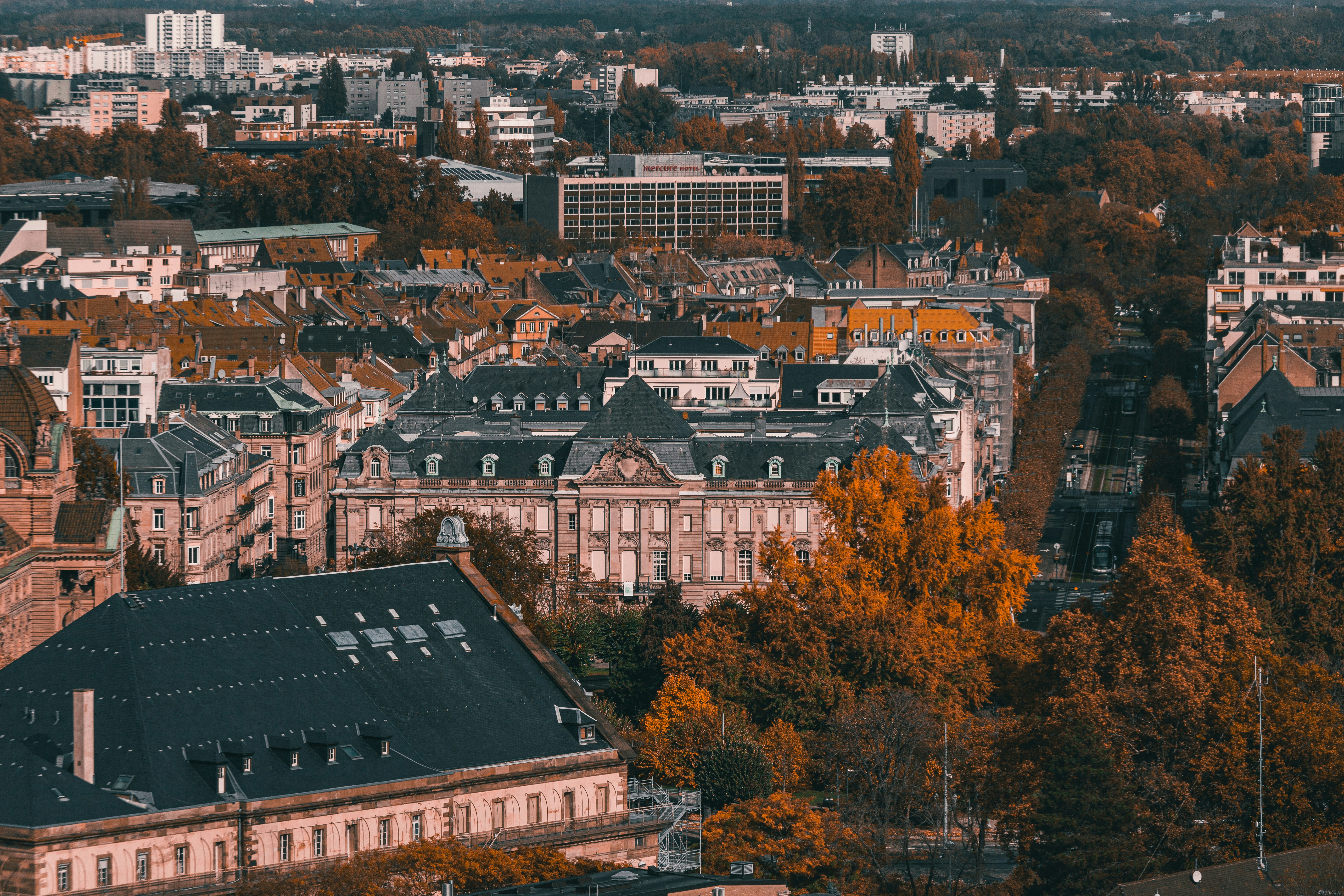 Aerial view of a city in autumn, showcasing vibrant foliage amidst urban architecture. The contrast of warm colors against the buildings creates a striking visual narrative.