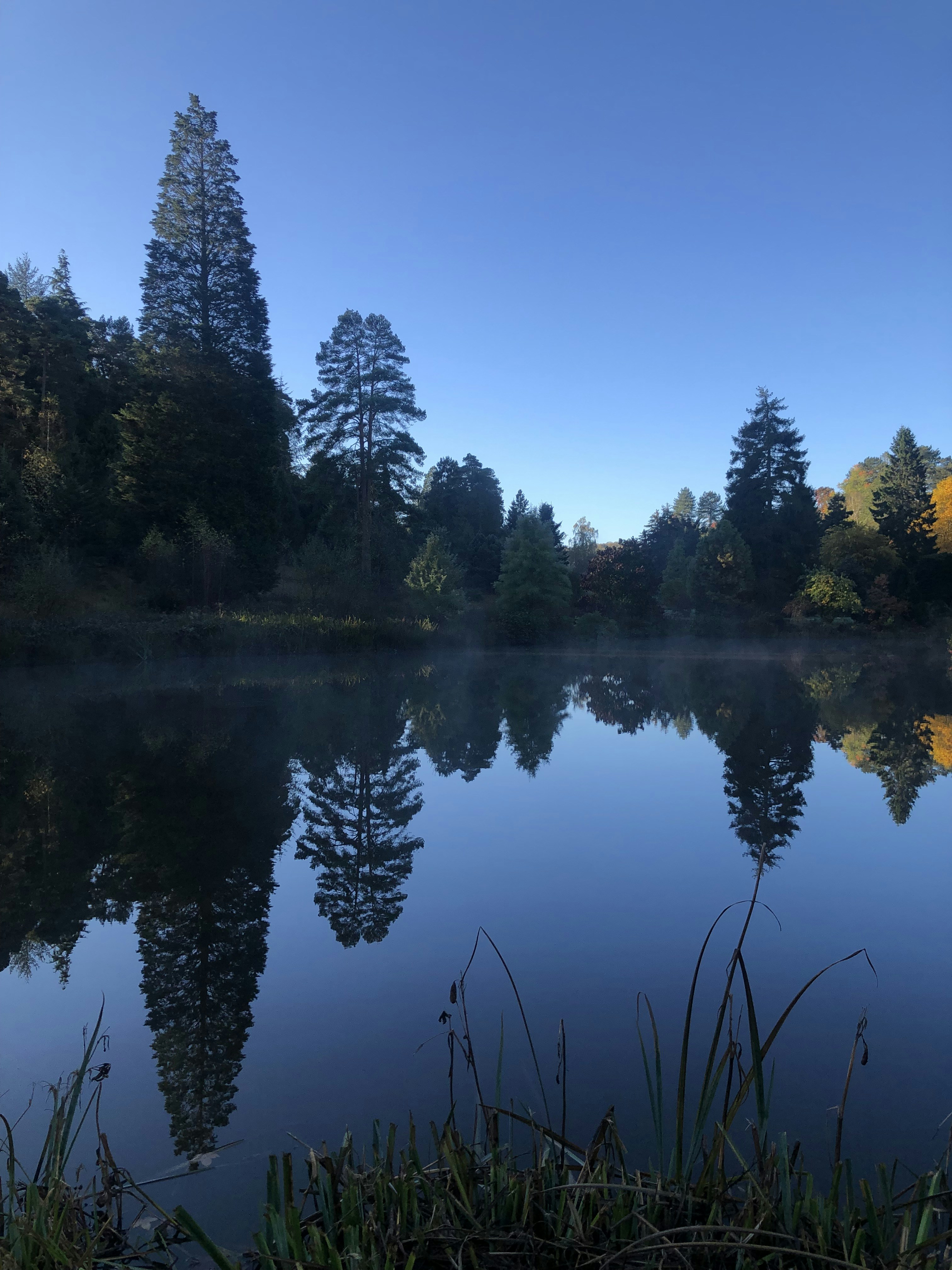 Tranquil lake scene at dawn, with mist rising from the water and trees reflecting on the surface.