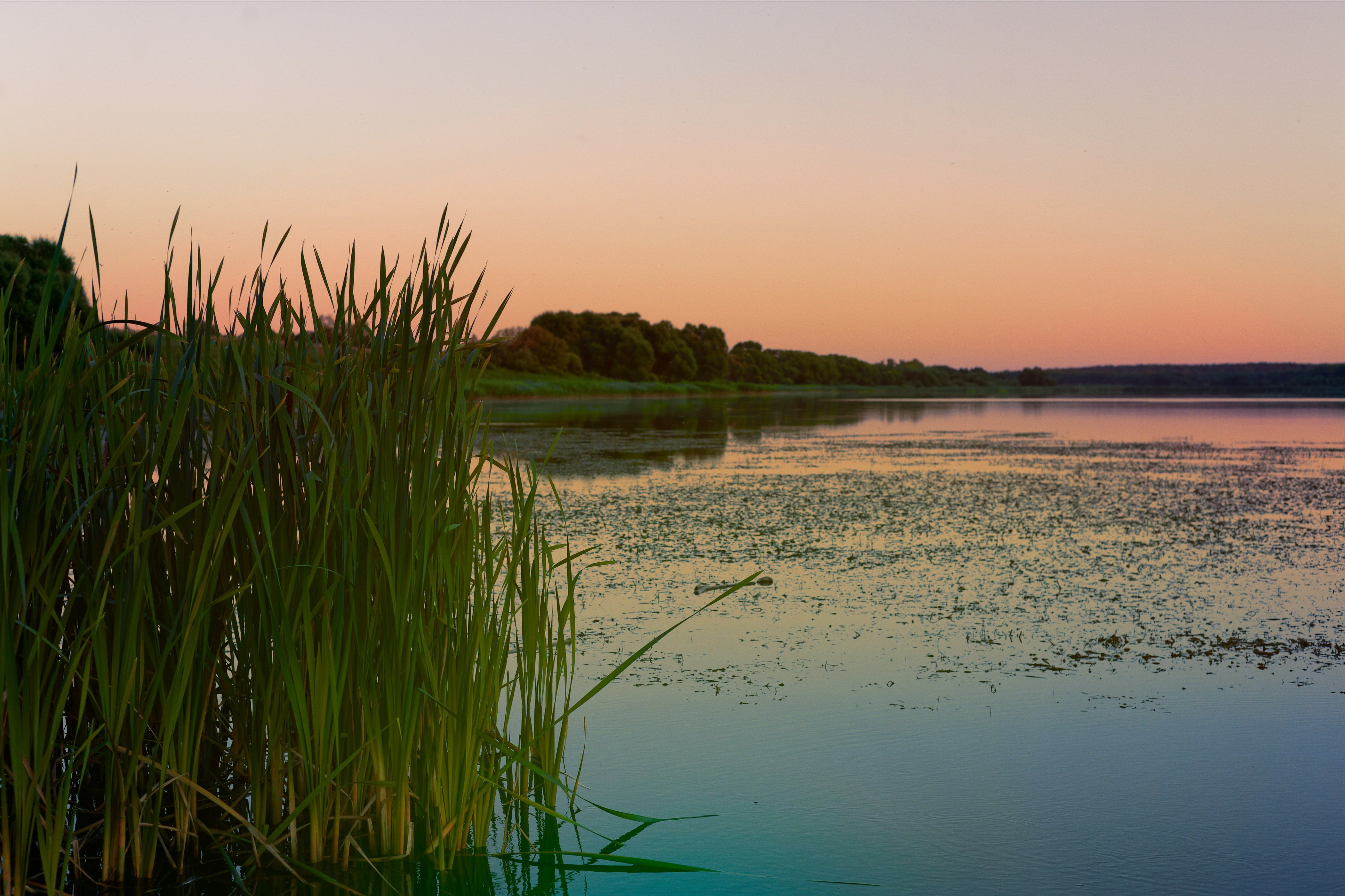 5D Wallpapers - Free Downloads on Unsplash