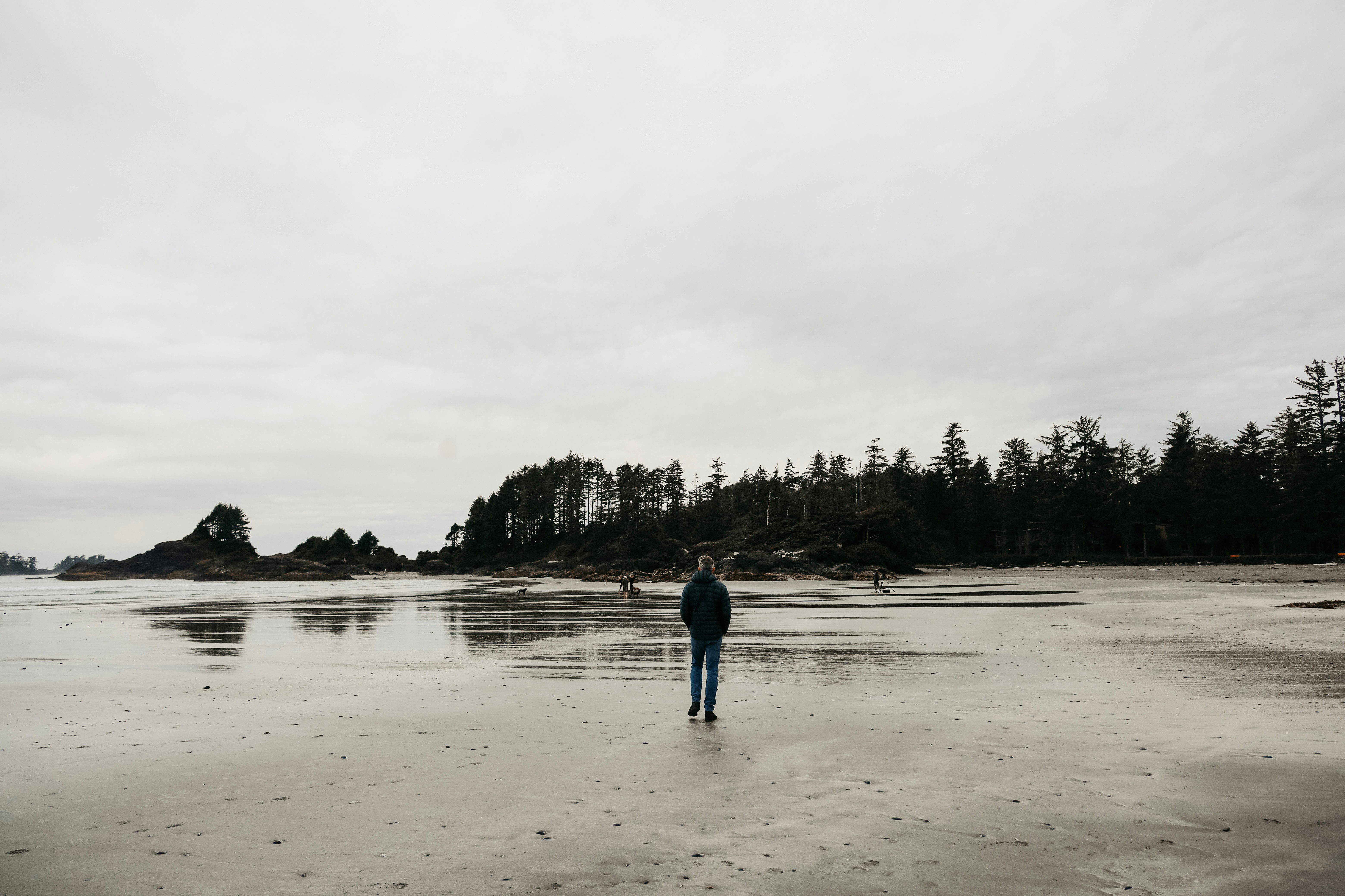 Solitude on the Shoreline