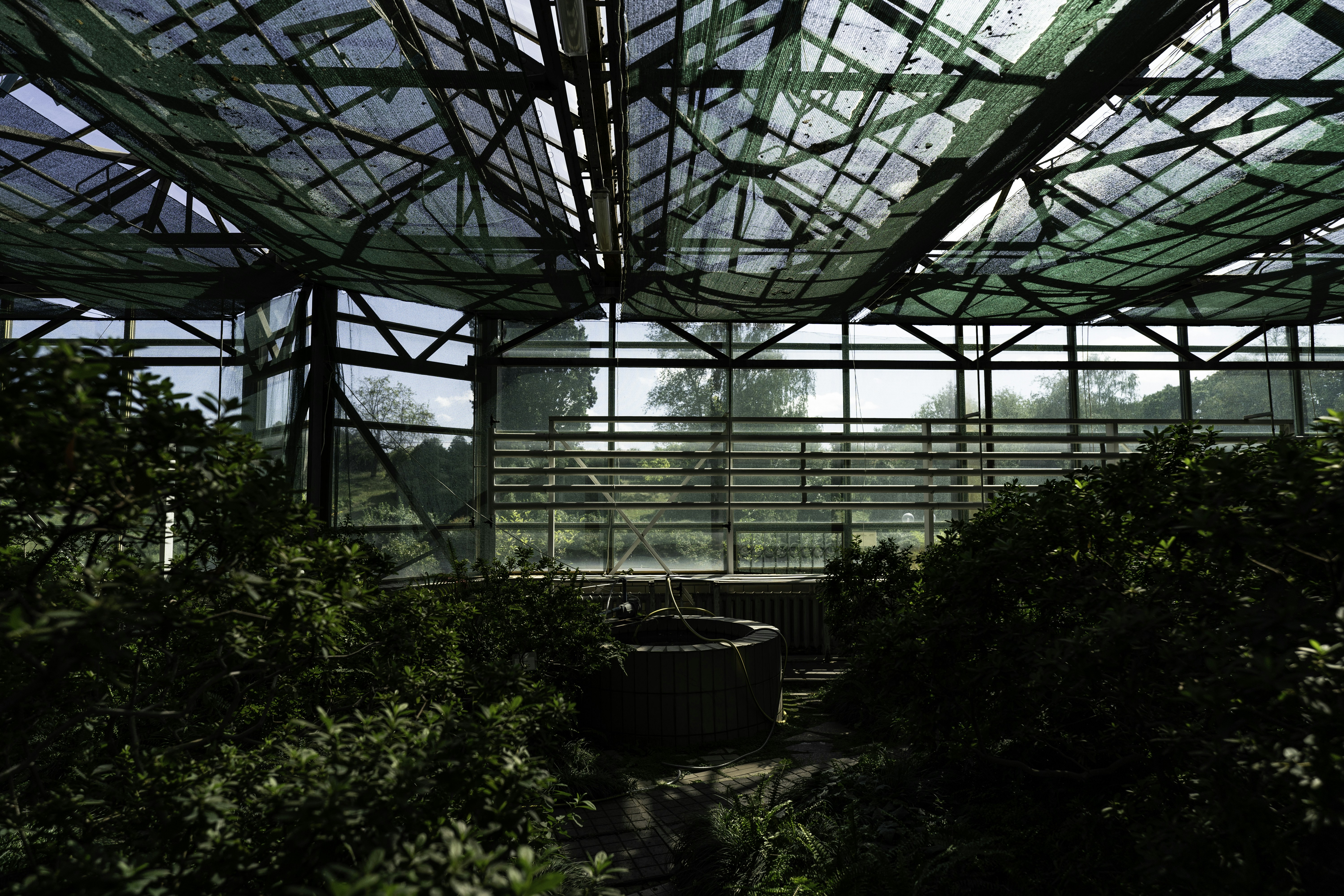 A lush greenhouse filled with vibrant greenery, sunlight filtering through the glass roof, creating a serene atmosphere. A central circular planter adds depth to the scene.