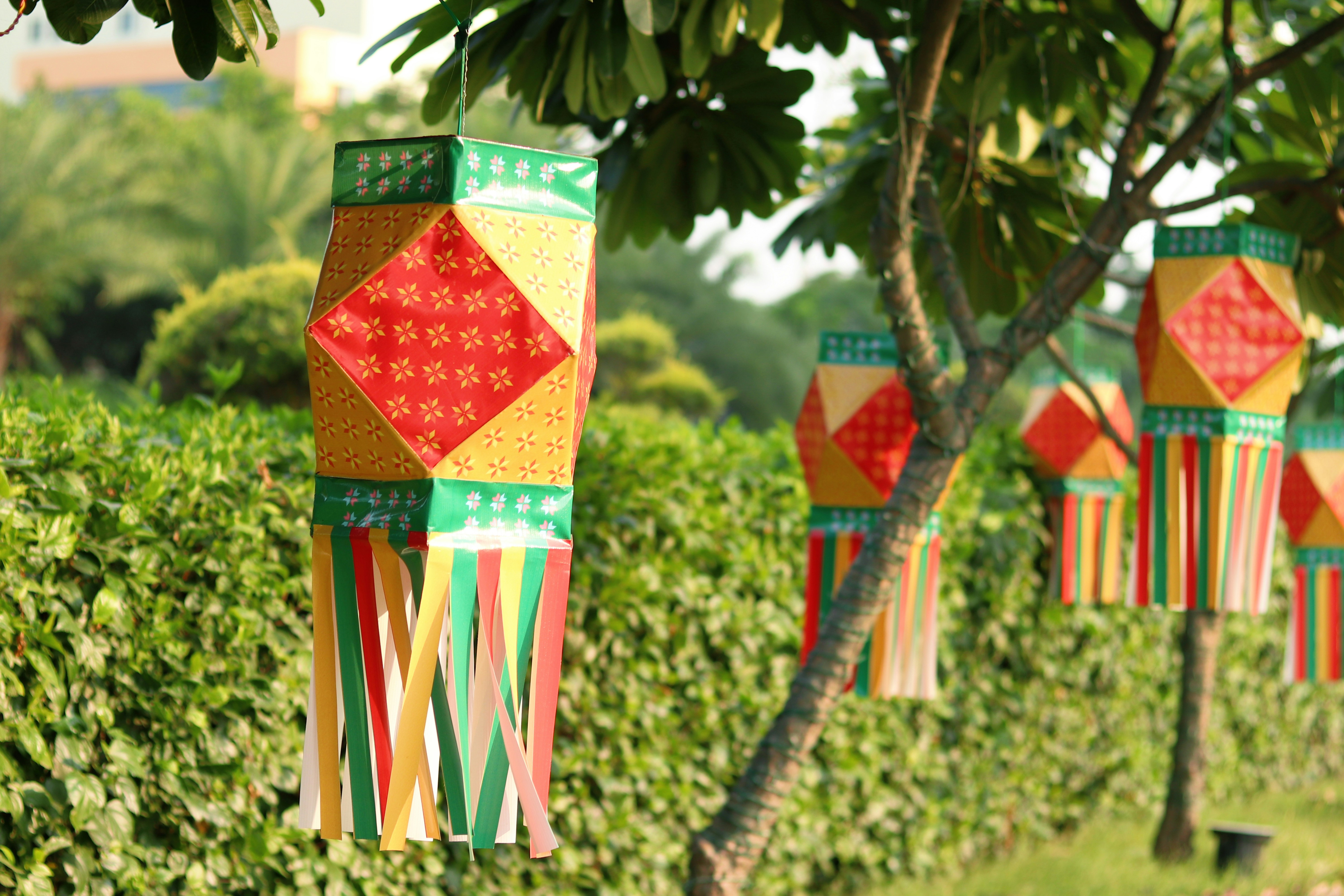 A row of colorful paper lanterns hanging from a tree photo – Free ...