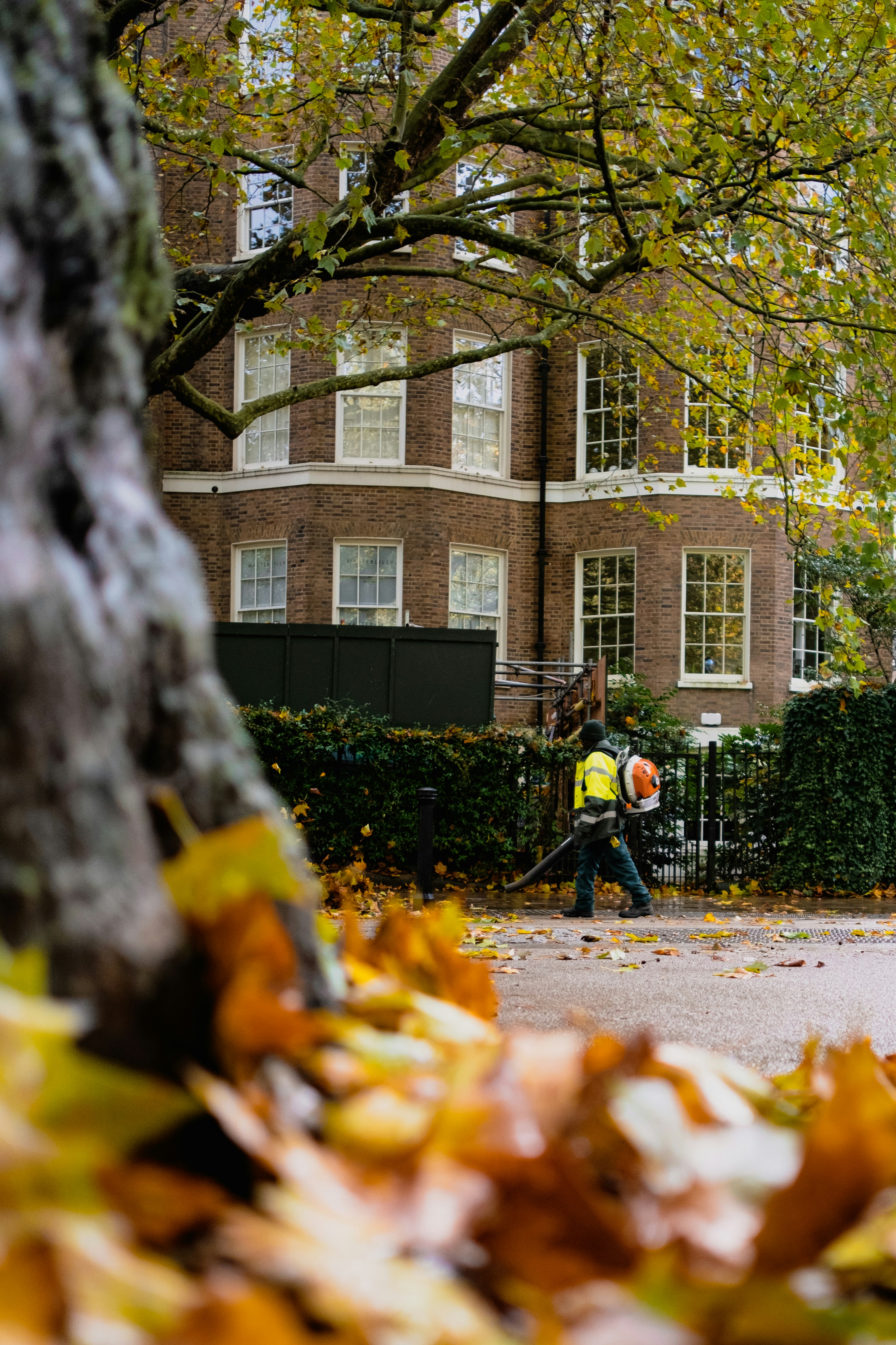 A worker in a reflective vest clears fallen leaves in an urban park, framed by vibrant autumn foliage and a brick building in the background.